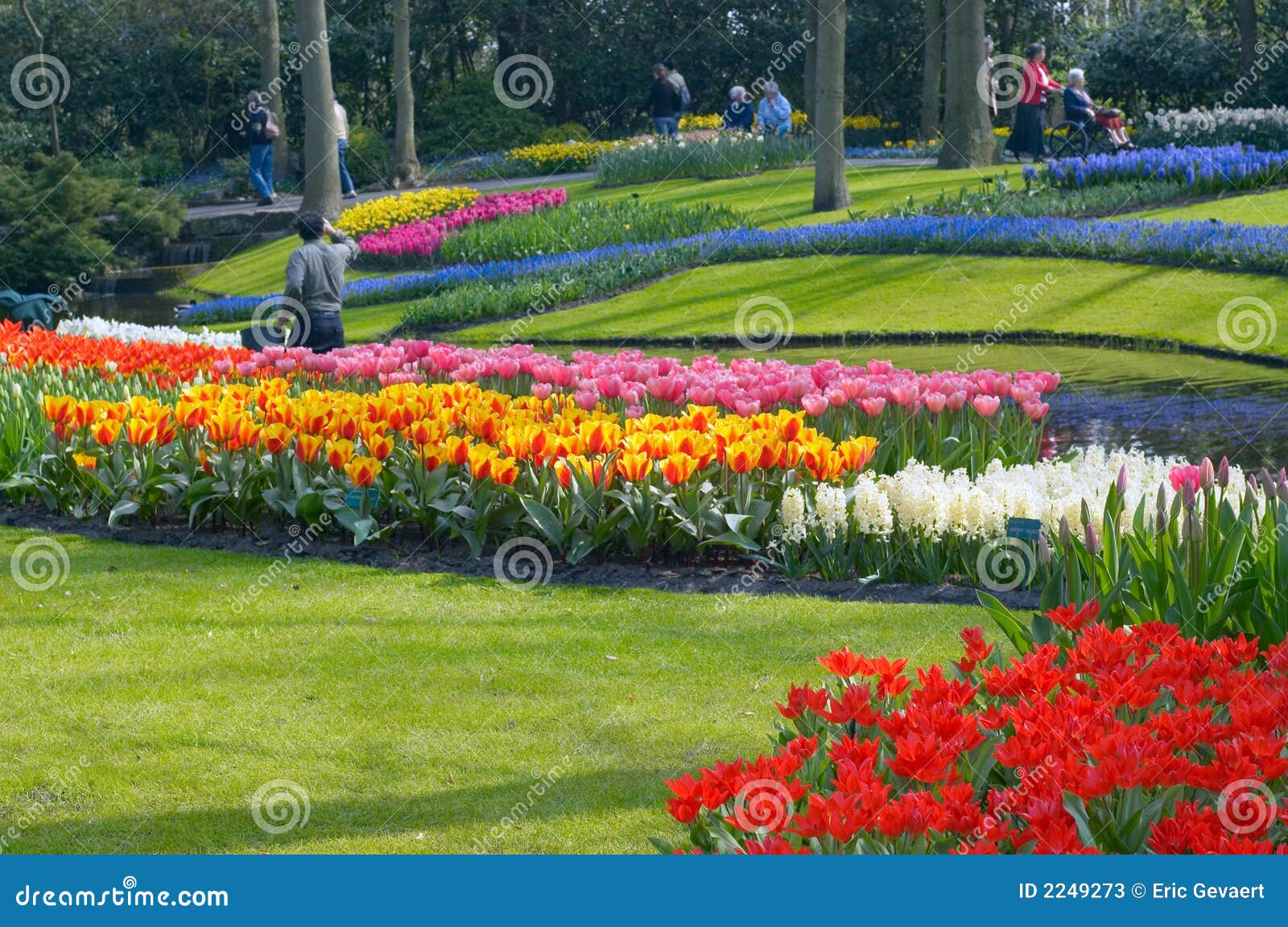 Colorful flower garden stock image. Image of mothers, colorful - 2249273