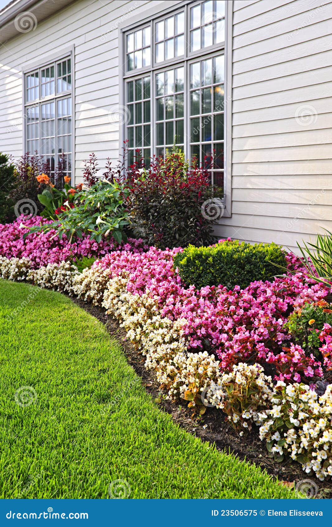 Colorful flower garden stock image. Image of growth, edged - 23506575