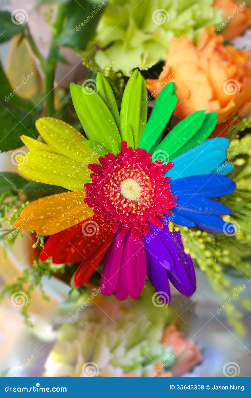 Colorful flower stock photo. Image of design, daisy, colourful - 35643308