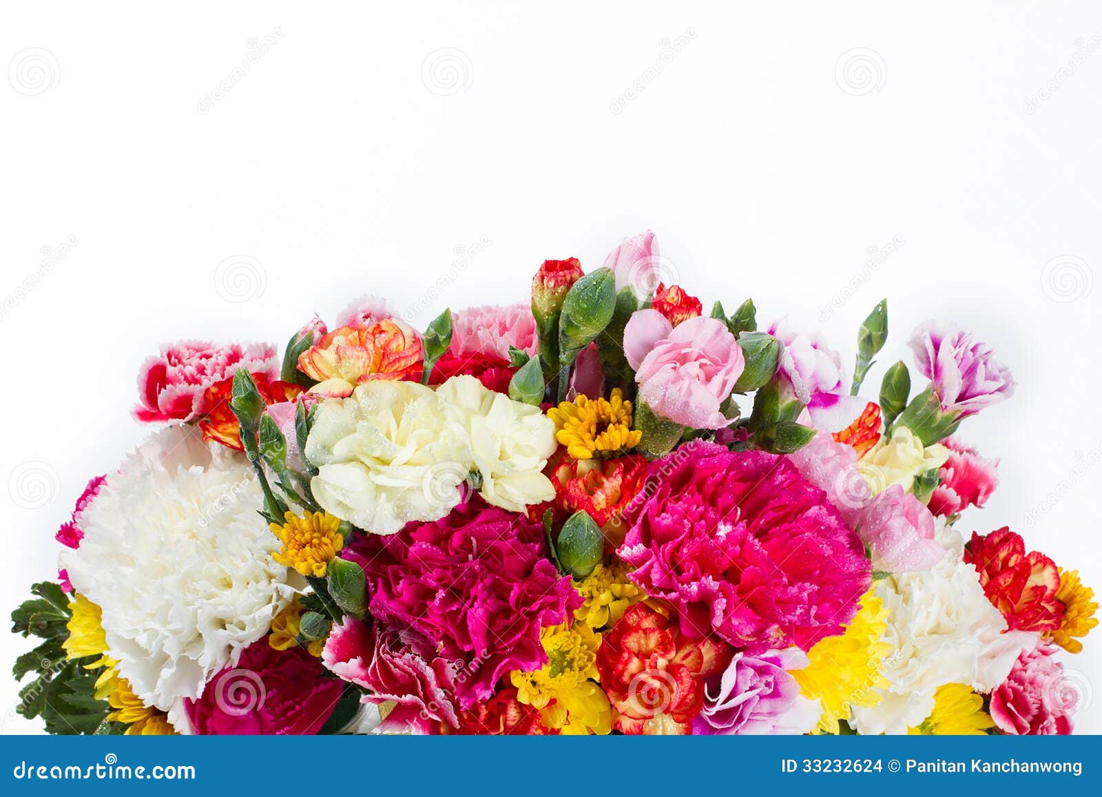 Colorful Flower on White Background Stock Photo - Image of ground ...