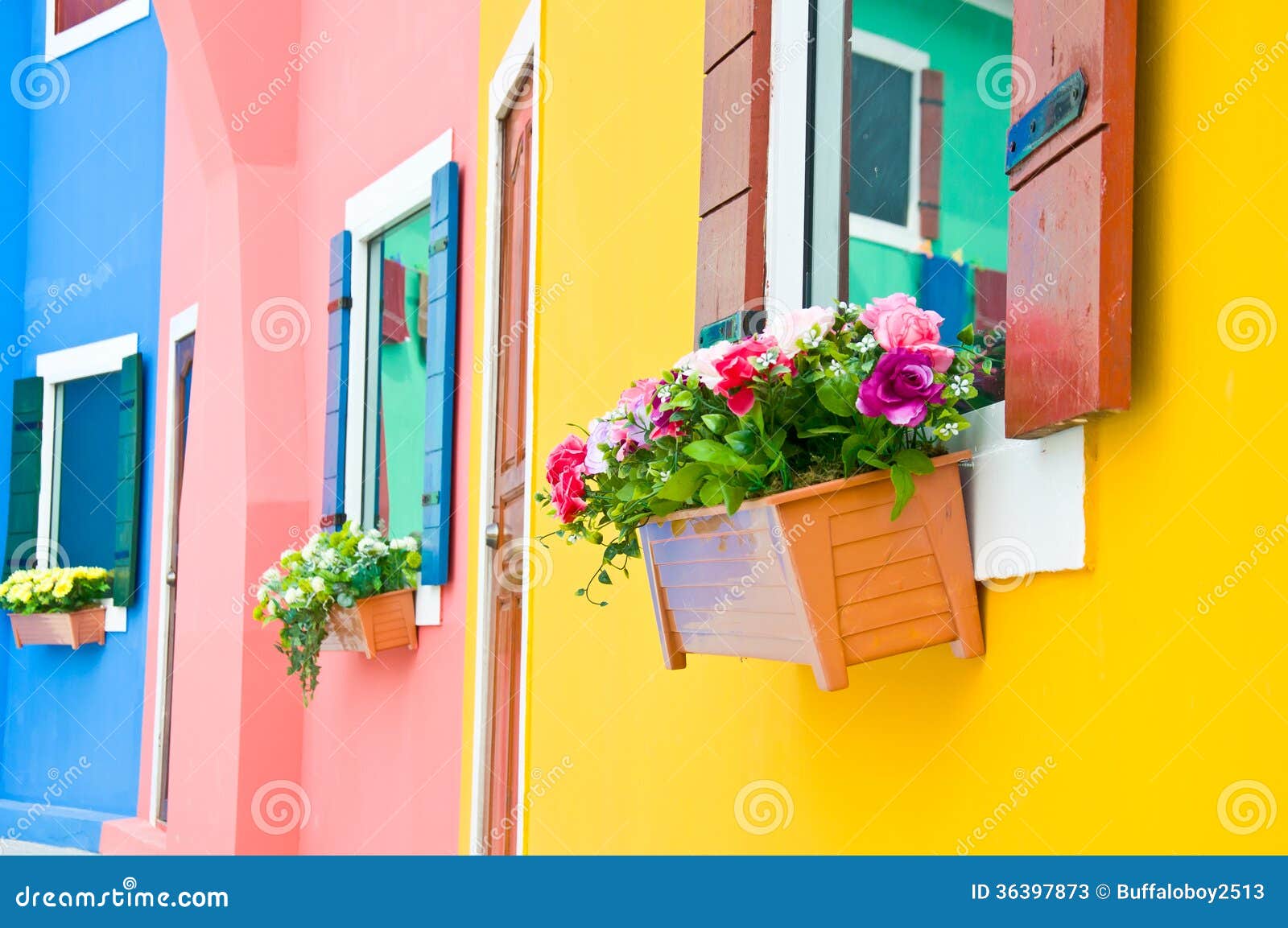 Colorful of Flower on Window Stock Image - Image of architecture, flora ...