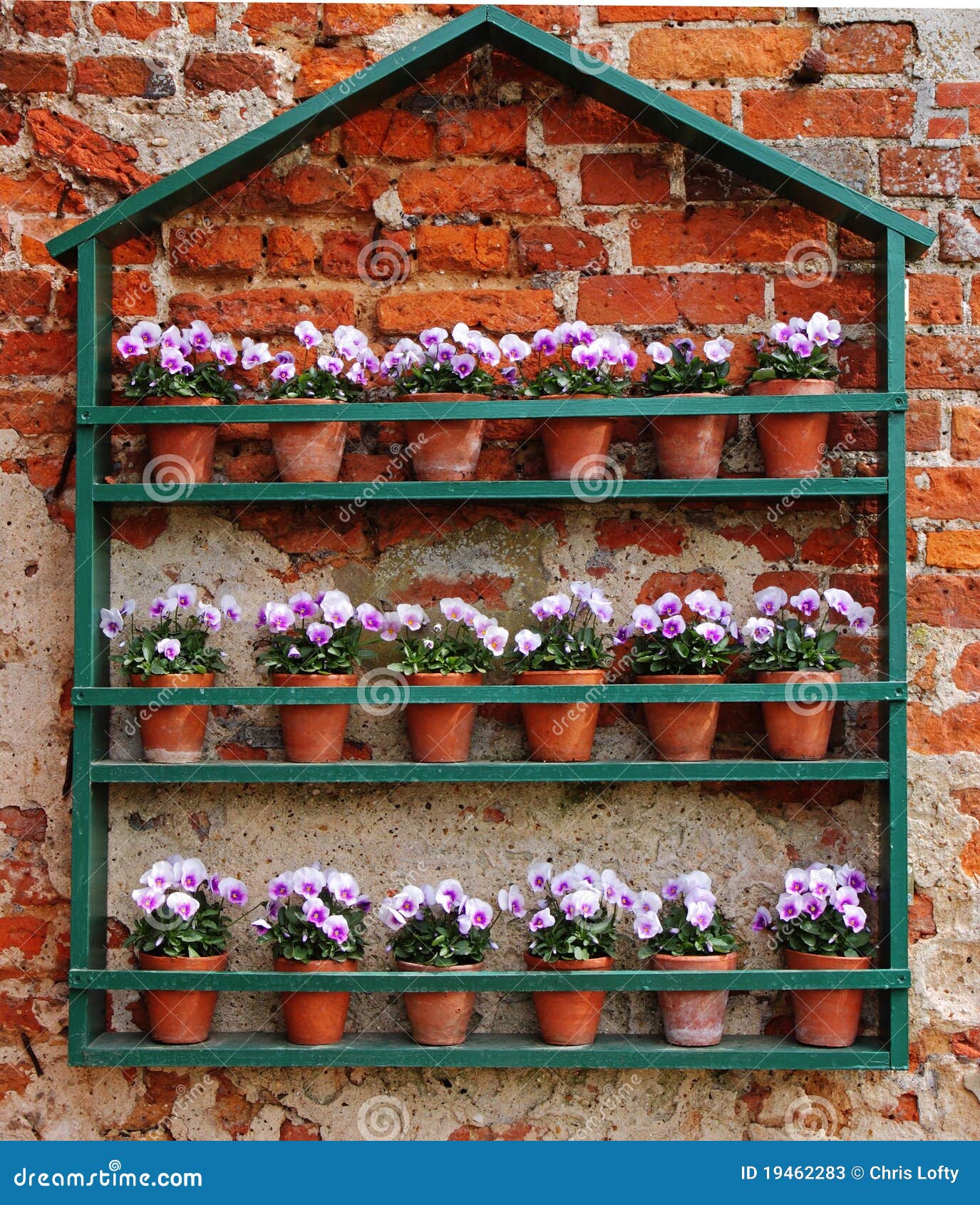 Colorful Flowerpot display stock image. Image of terracotta - 19462283
