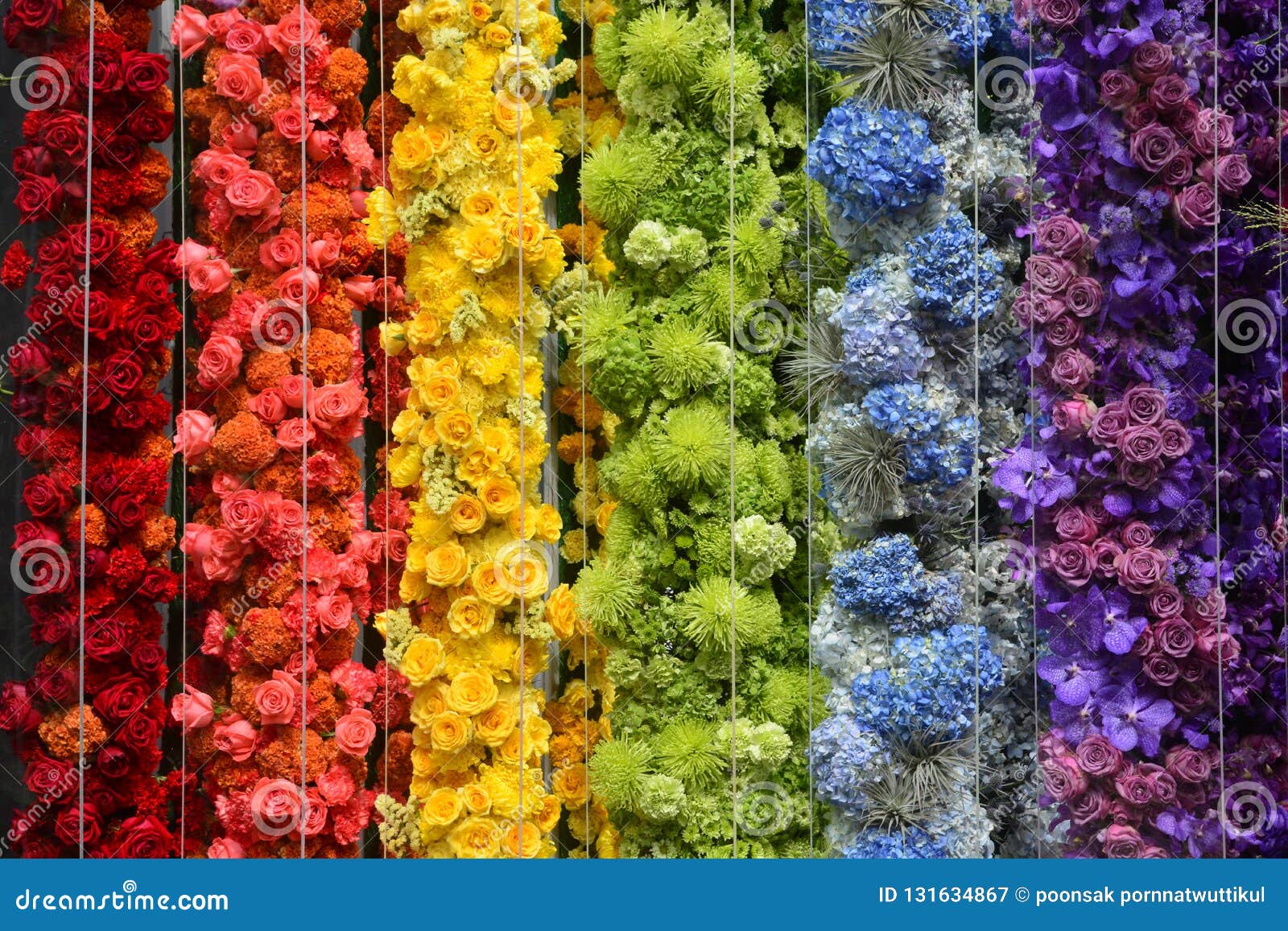 Colorful Flowers of the Backdrop Stock Image - Image of flower, nature ...