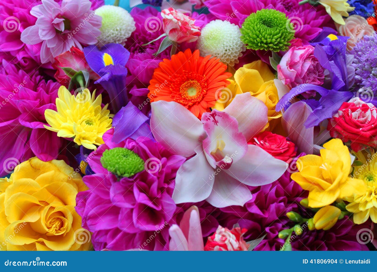 Colorful Flowers Background Stock Photo - Image of bouquet, flowers ...