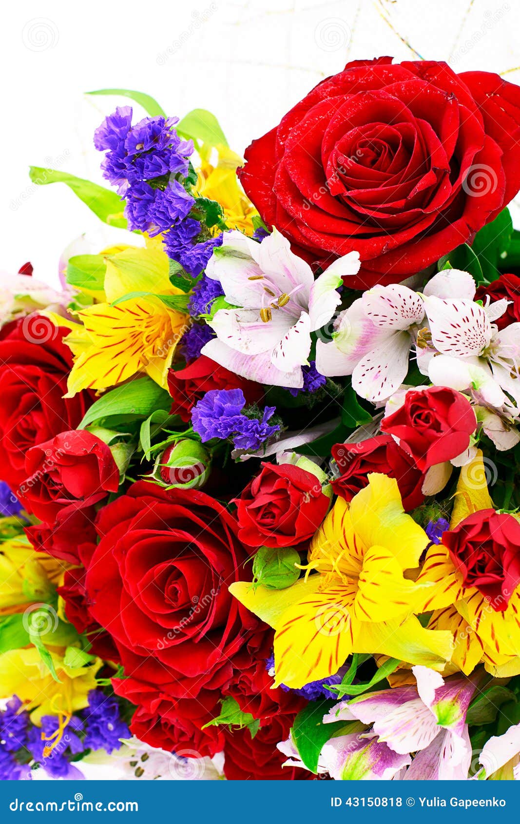 Colorful Flowers Bouquet Isolated on White Stock Photo - Image of ...