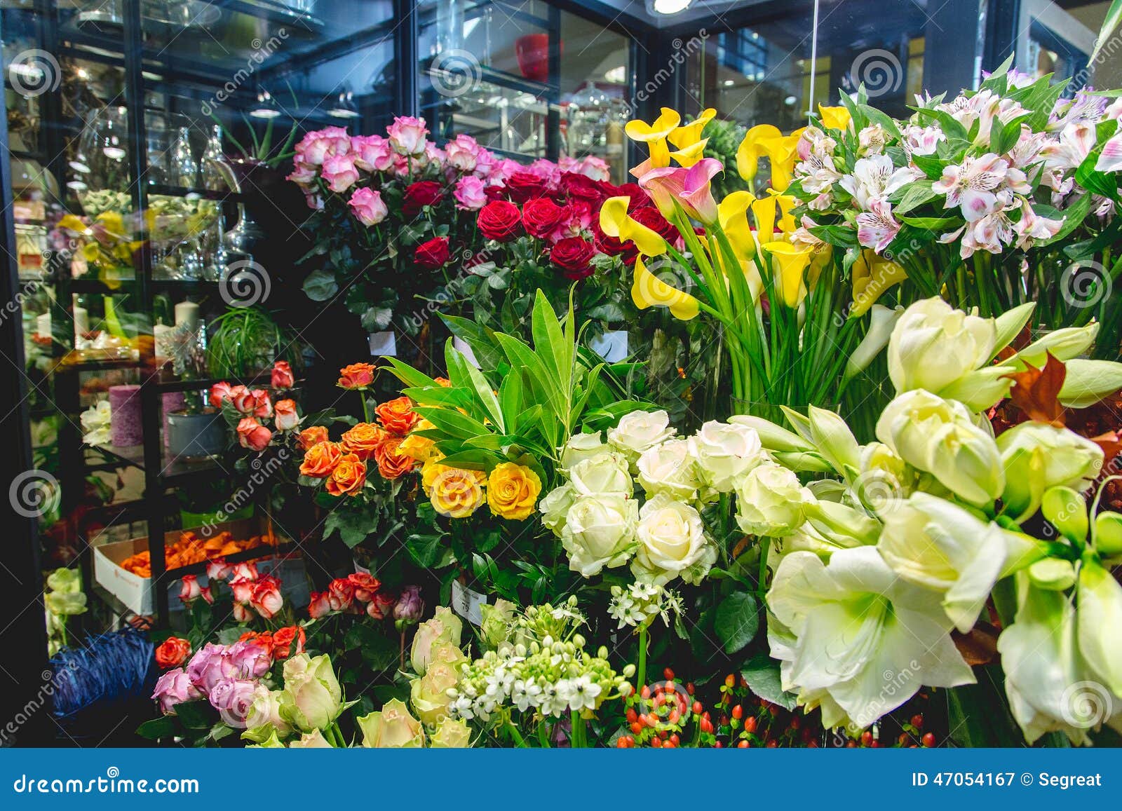 Colorful Flowers at Flower Market Stock Image - Image of outdoors ...