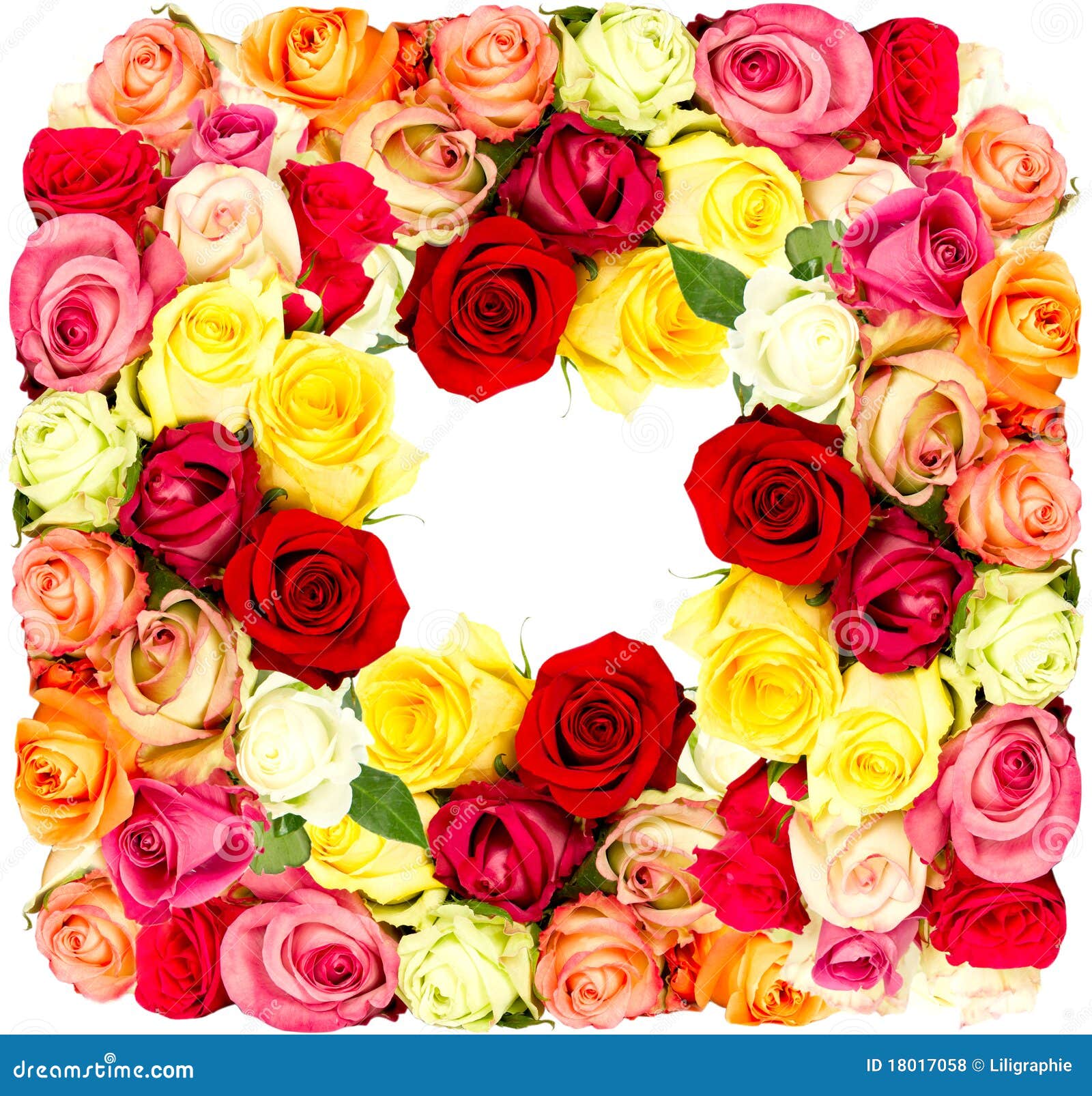 Colorful flowers frame stock photo. Image of event, birthday - 18017058