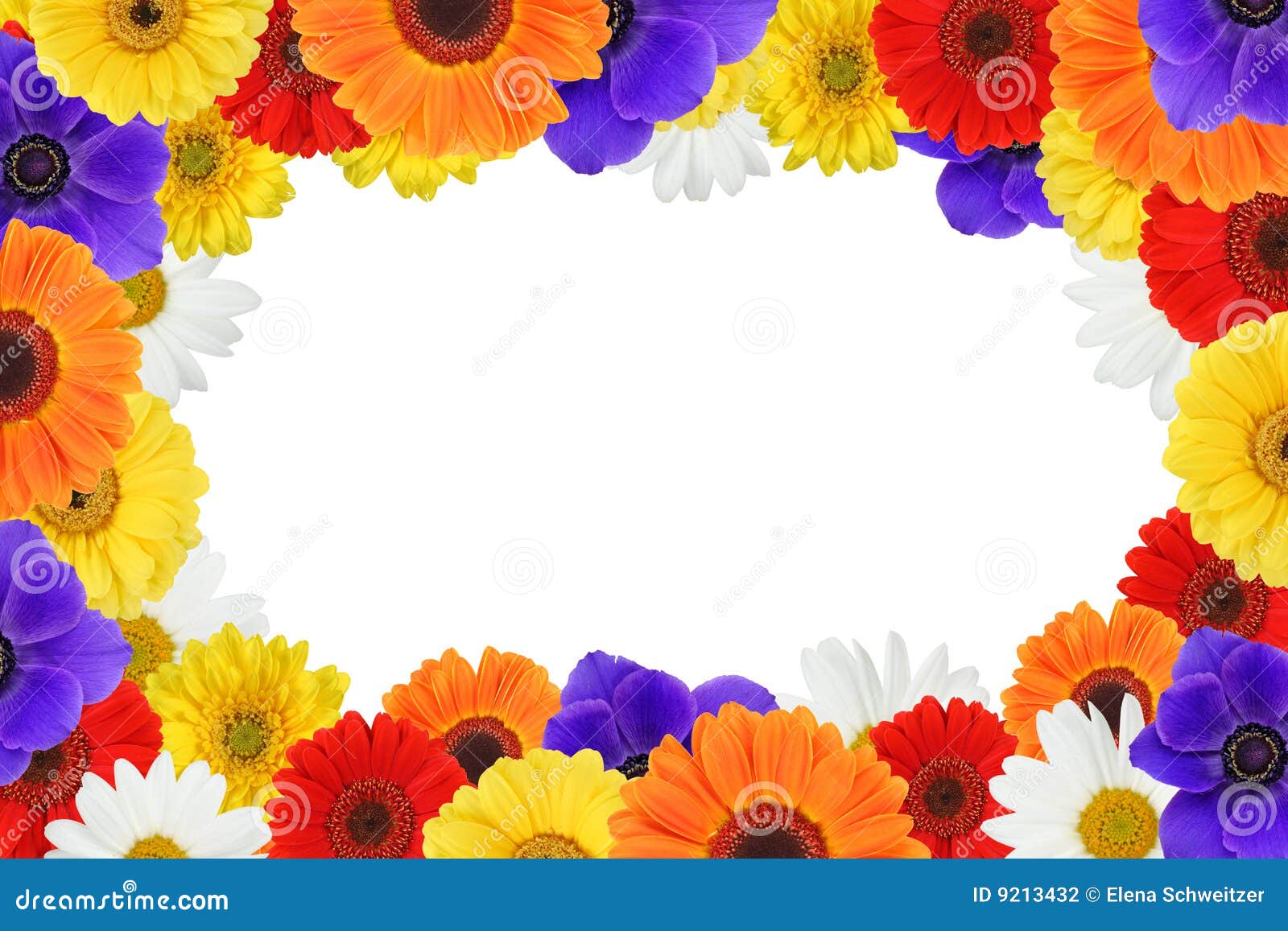 Colorful flowers frame stock photo. Image of collage, cutout - 9213432