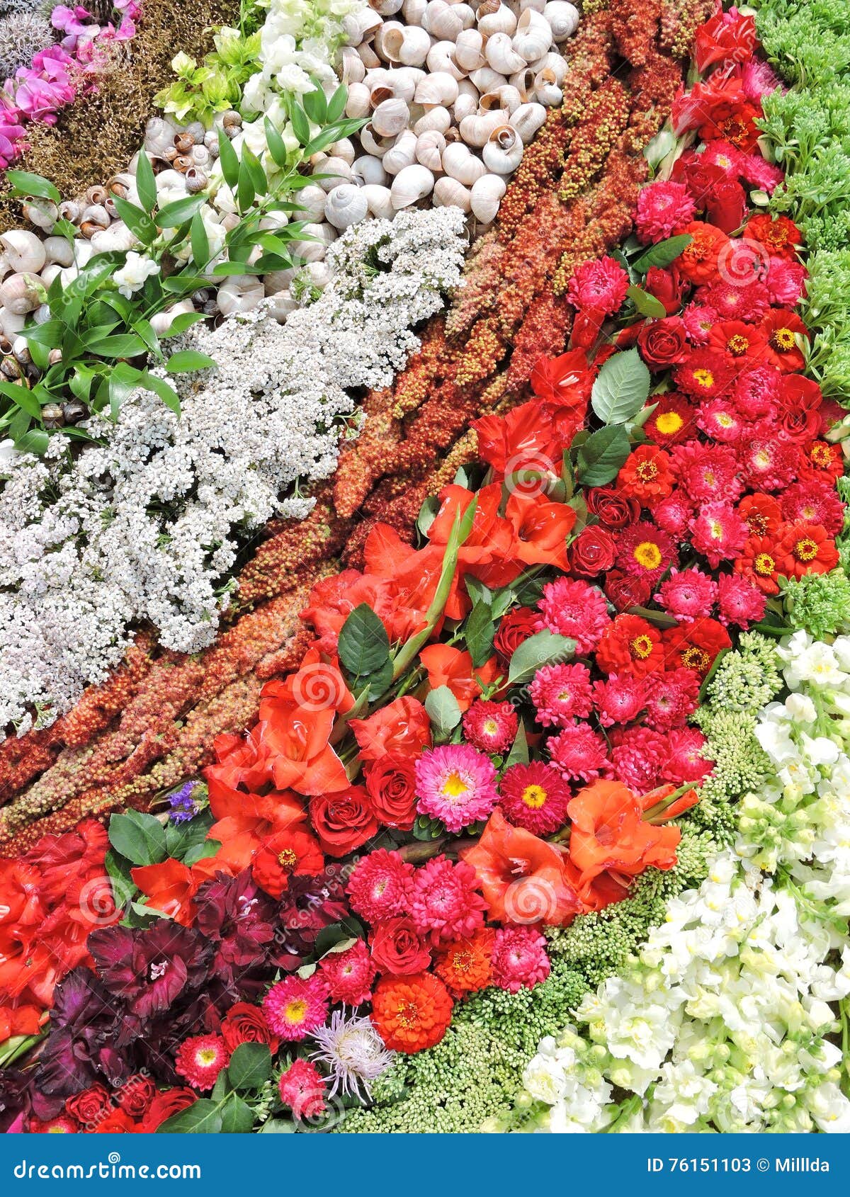 Colorful flowers pattern stock image. Image of plants - 76151103