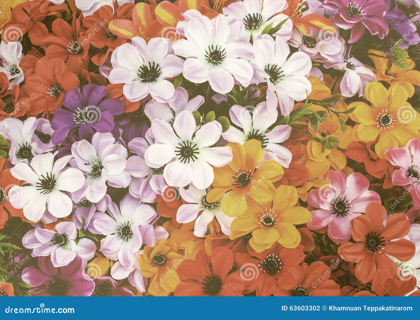 Colorful Flowers Vintage Style Stock Photo - Image of light, macro ...
