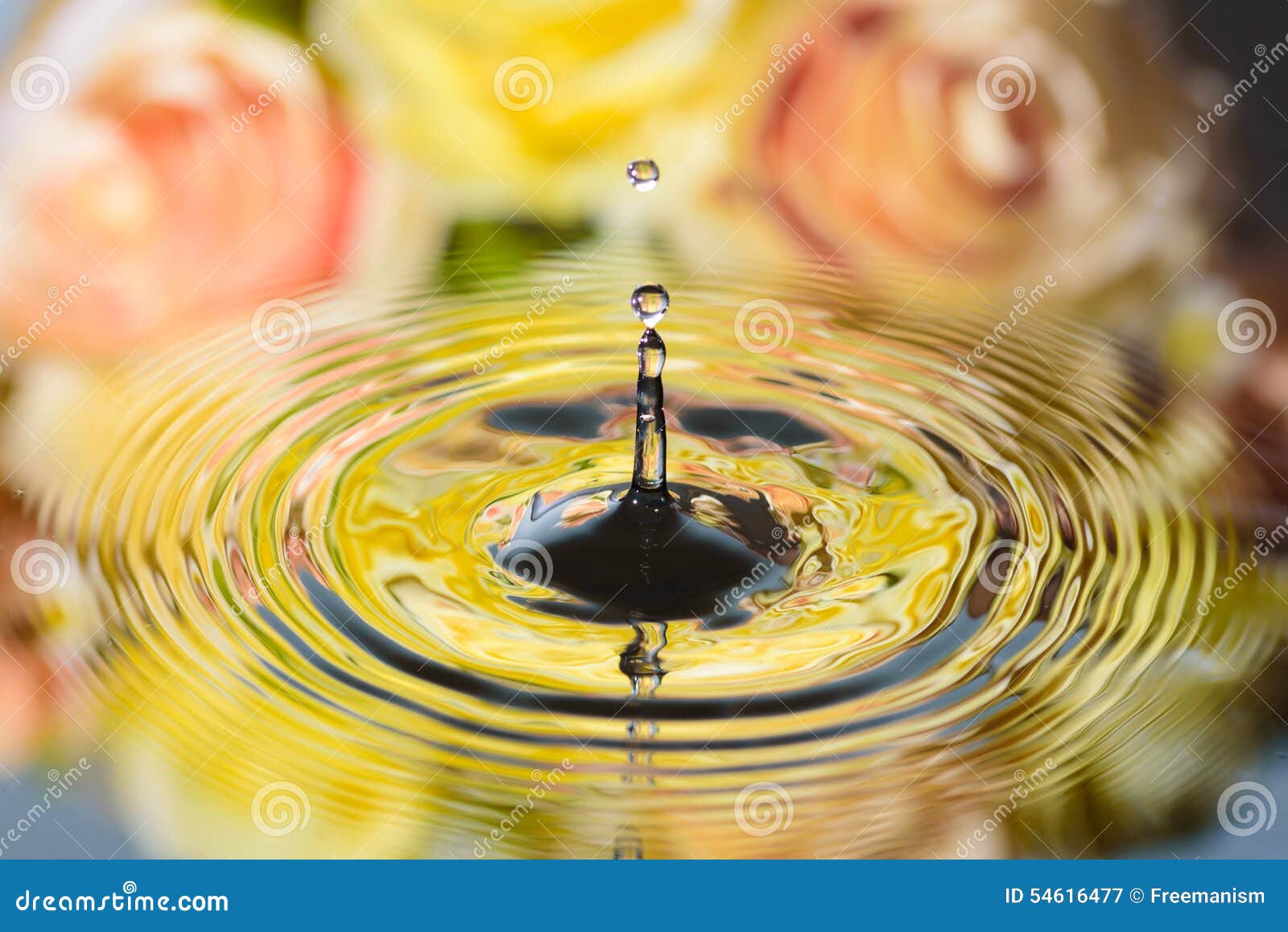 Colorful flowers stock image. Image of flowing, light - 54616477