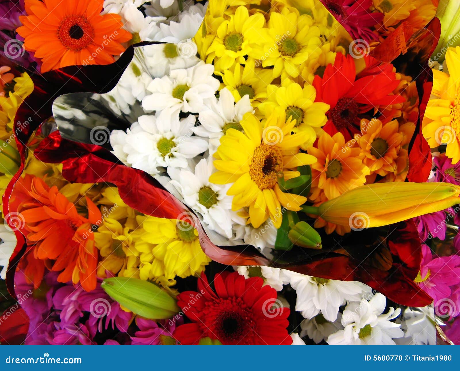 Colorful Flowery Background Stock Photo - Image of bright, blossoming ...