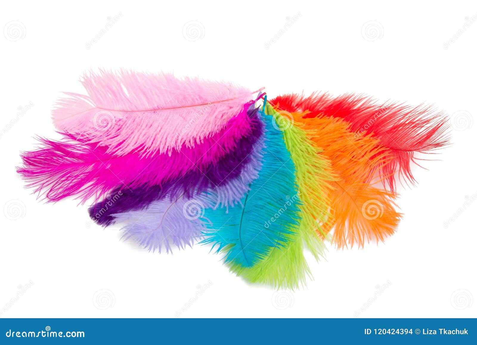 Colorful Fluffy Feathers Isolated Stock Photo - Image of white ...