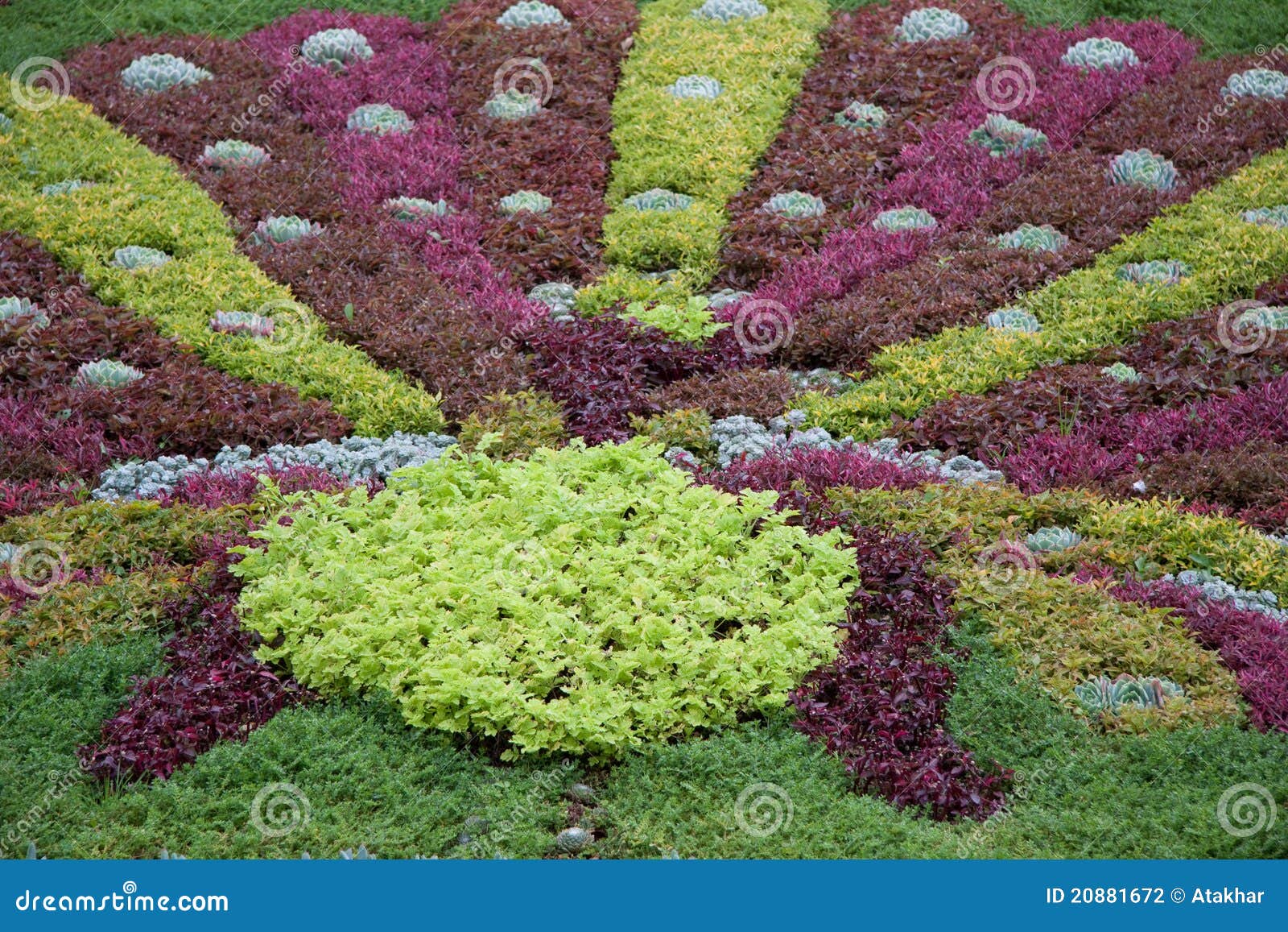 Colorful Foliage in Formal Garden Stock Photo - Image of green, bright ...