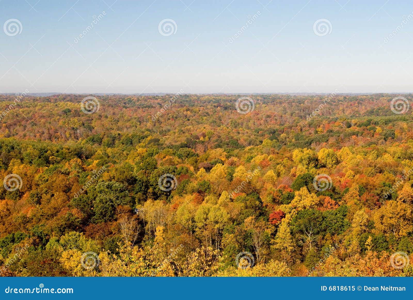 Colorful forest in autumn stock image. Image of remoteness - 6818615