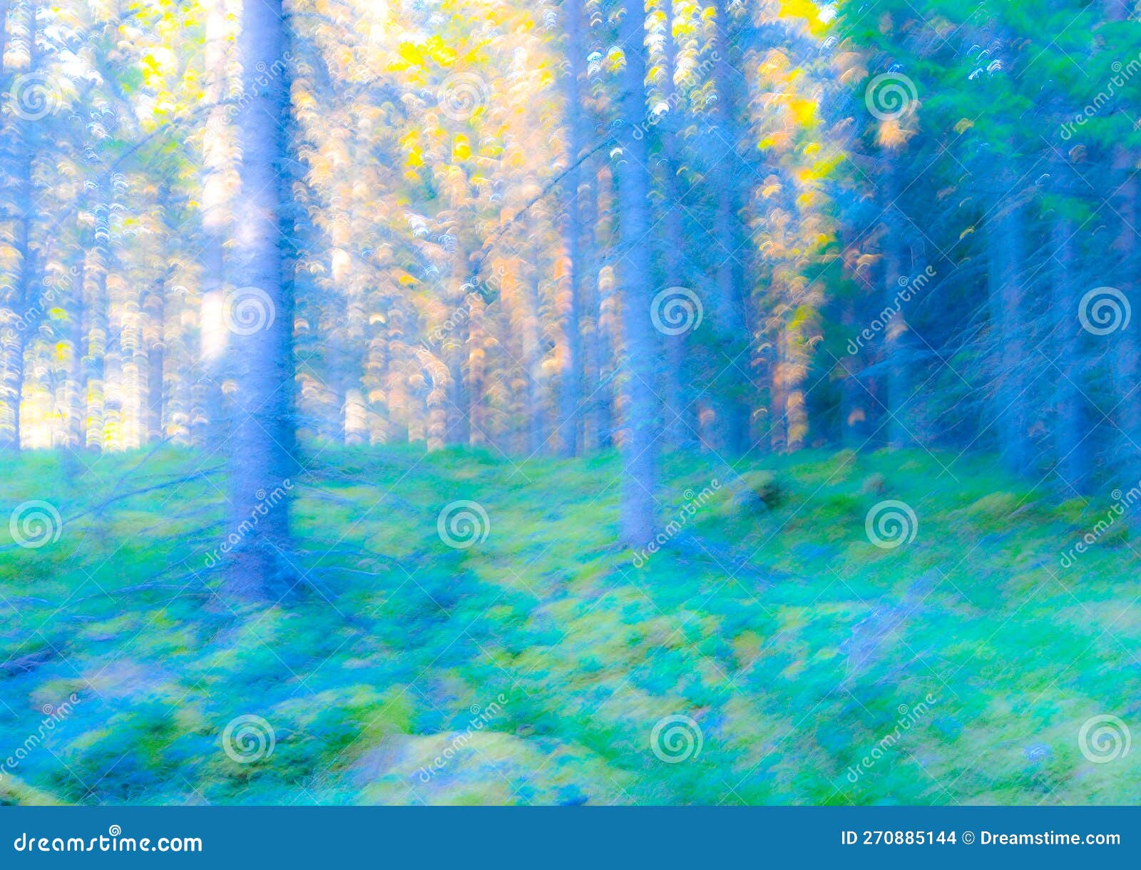 Colorful forest defocused stock photo. Image of motion - 270885144