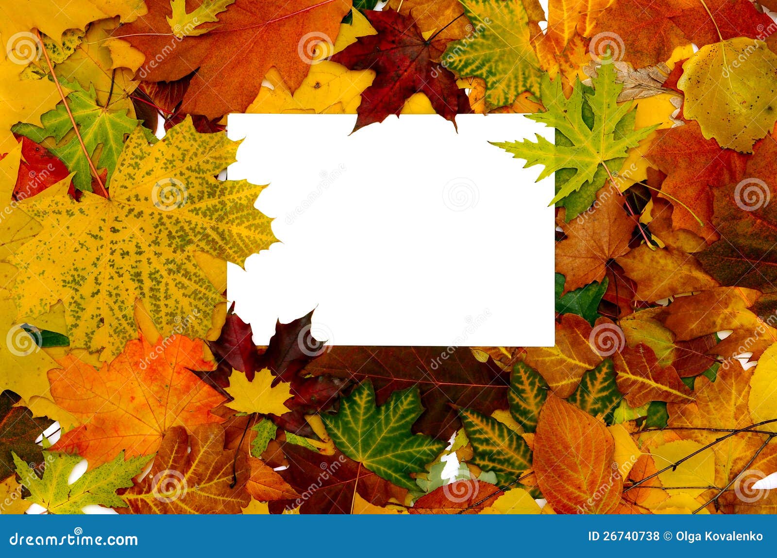 Colorful Frame of Fallen Autumn Leaves Stock Photo - Image of beauty ...