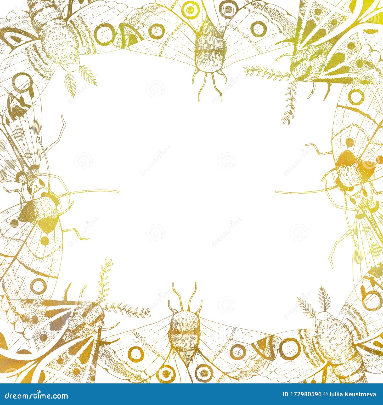 Colorful Frame Hand Drawn Ink Moth. Template Framework Stock Photo ...