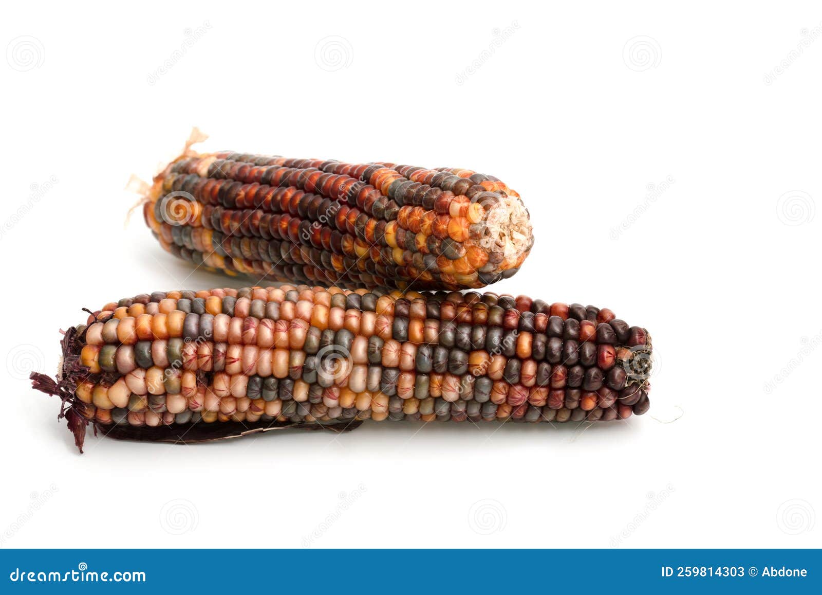 Red Cob Corn on White Background Stock Image - Image of colorful ...