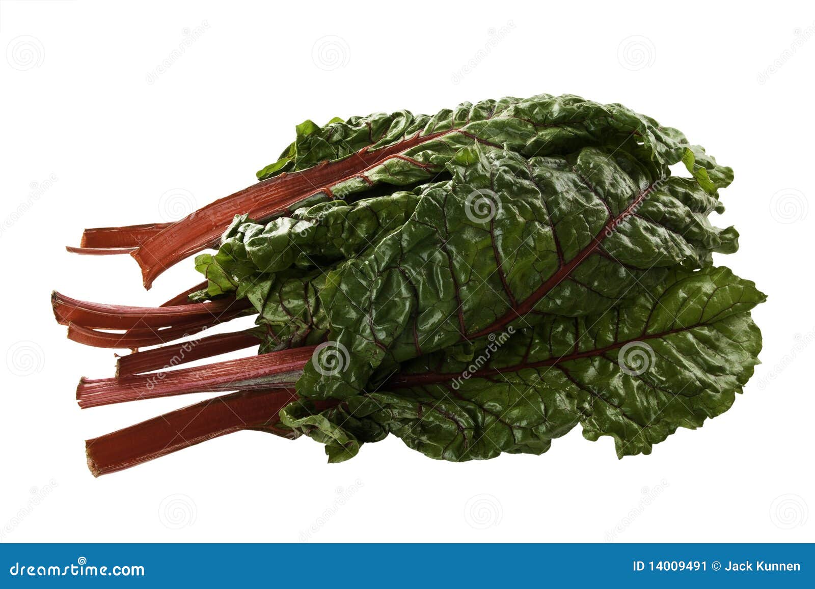 Colorful Fresh Swiss Chard stock image. Image of fresh - 14009491