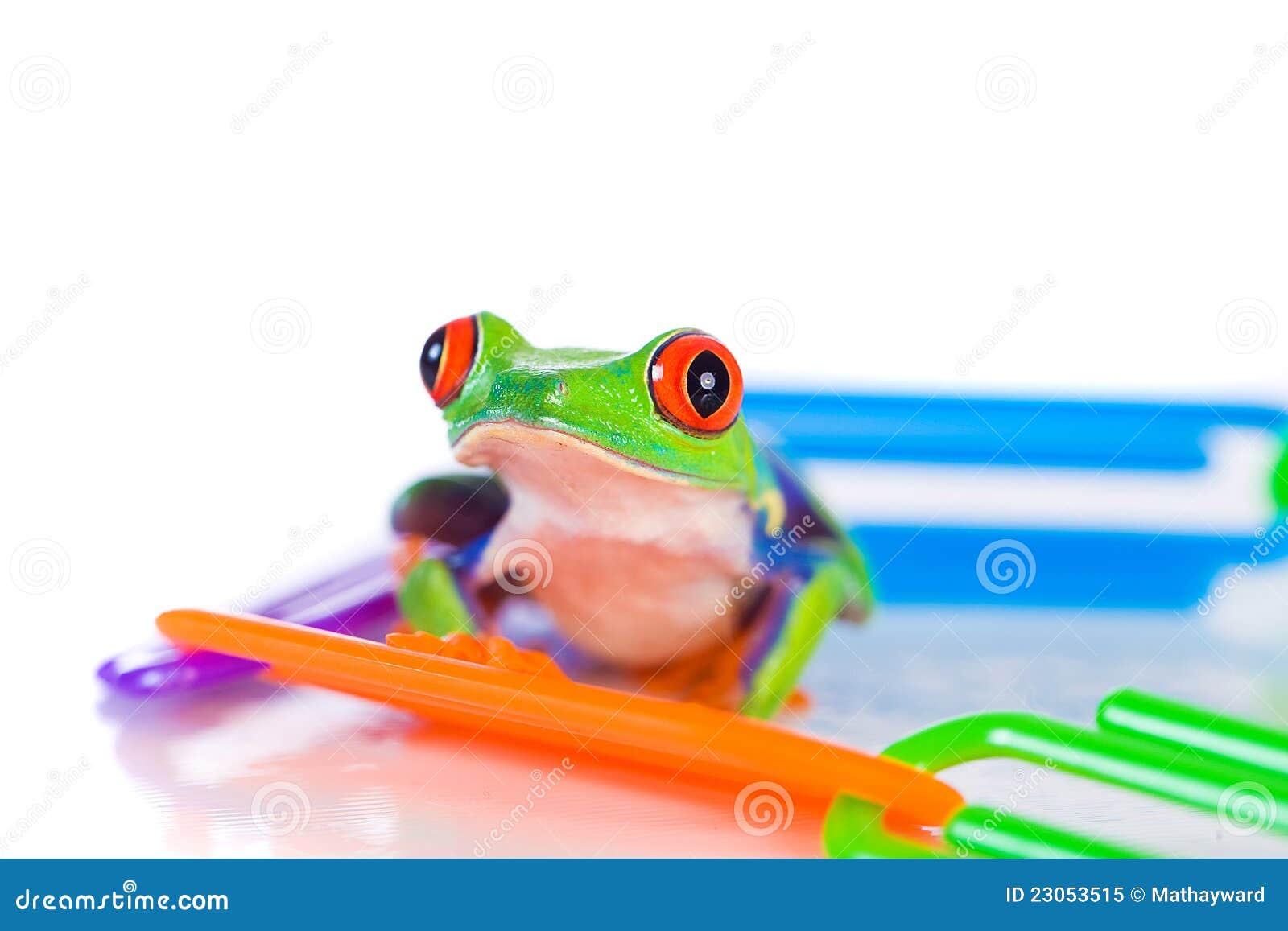 Colorful Frog in Plastic Paperclip Pile Stock Image - Image of neon ...
