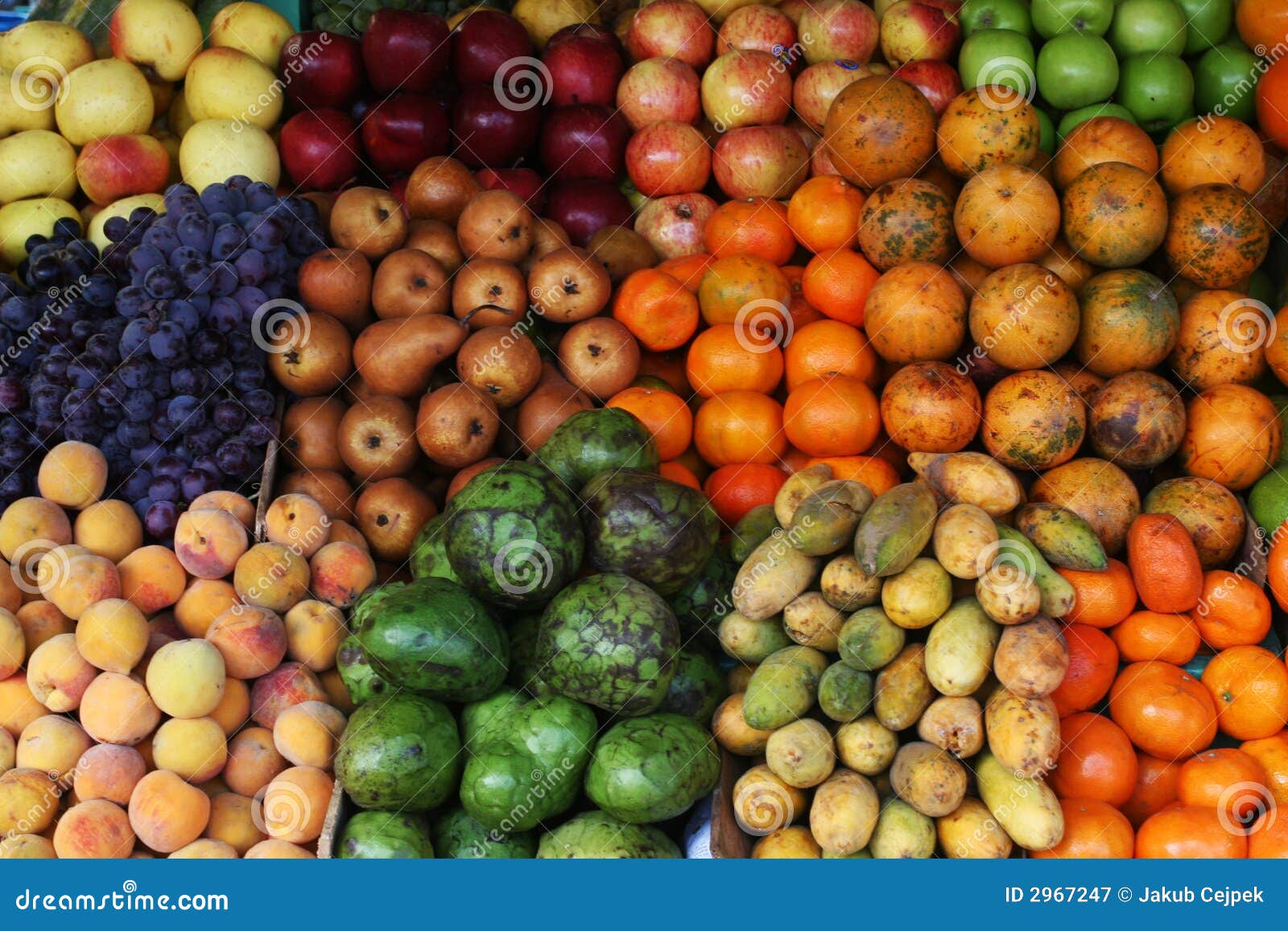 Colorful Fruit Picture. Image: 2967247