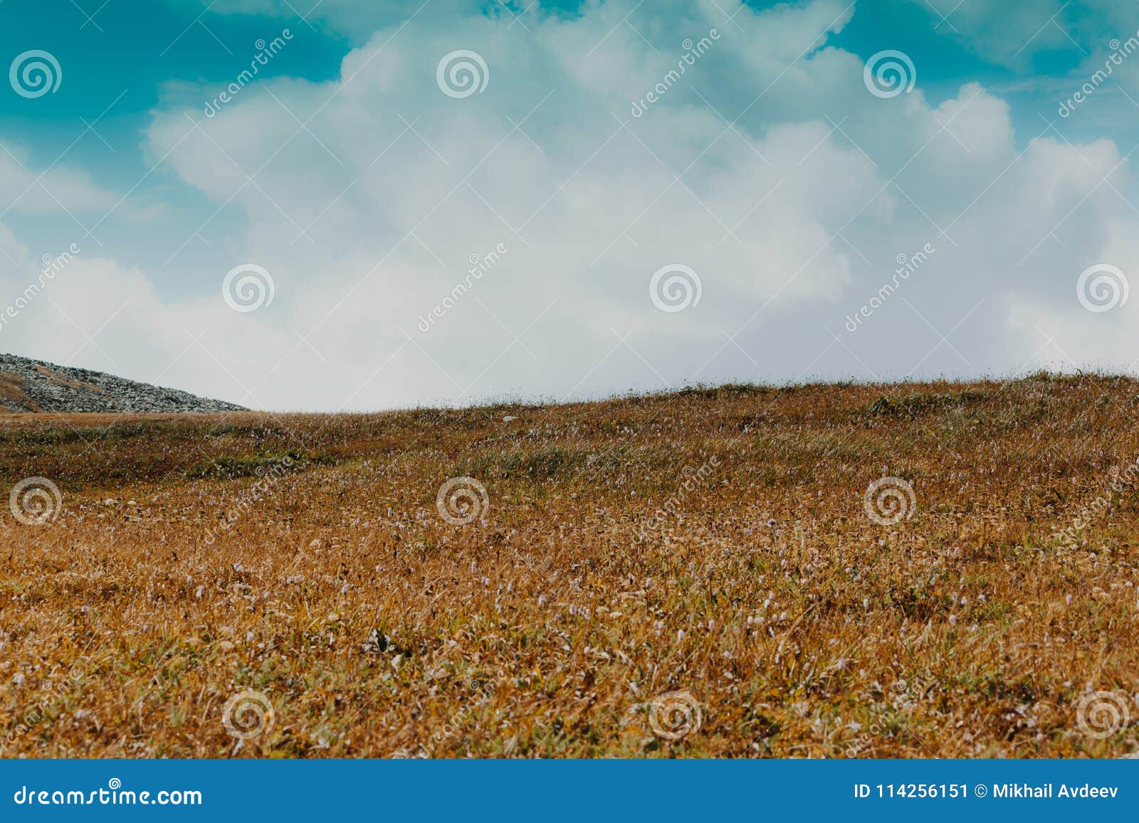 Colorful gentle hills stock image. Image of meadow, hill - 114256151