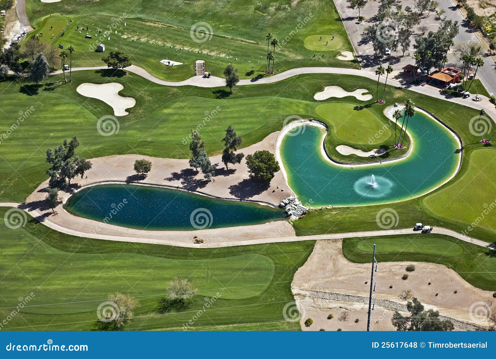 Colorful Golf stock photo. Image of carts, palm, water - 25617648