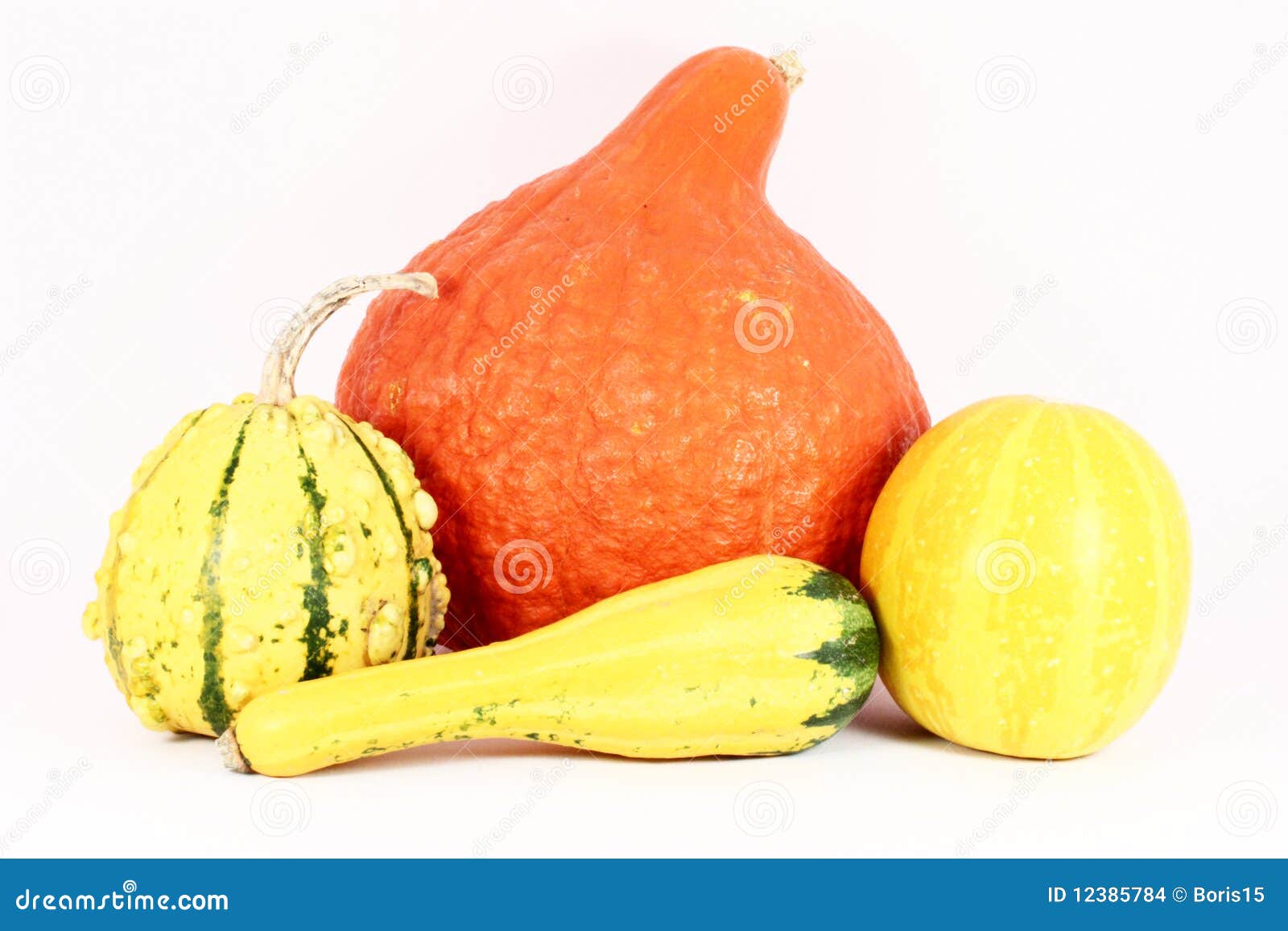 Colorful gourds stock photo. Image of yellow, decoration - 12385784