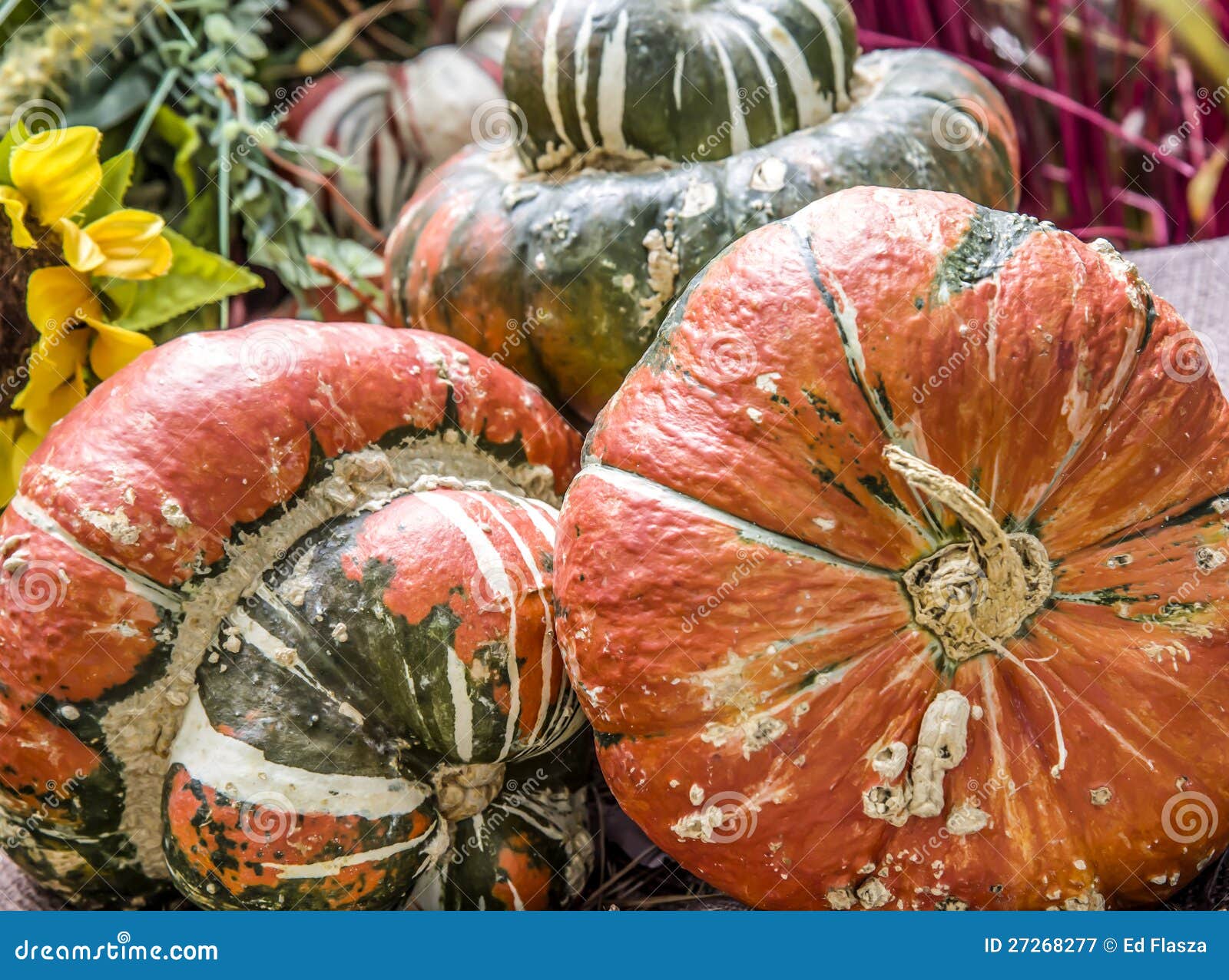 Colorful gourds stock image. Image of thanksgiving, squash - 27268277