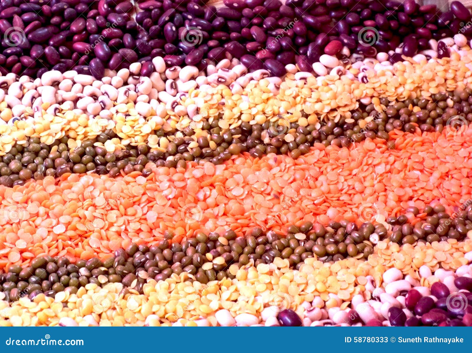 Colorful grains stock image. Image of wheat, ingradians - 58780333