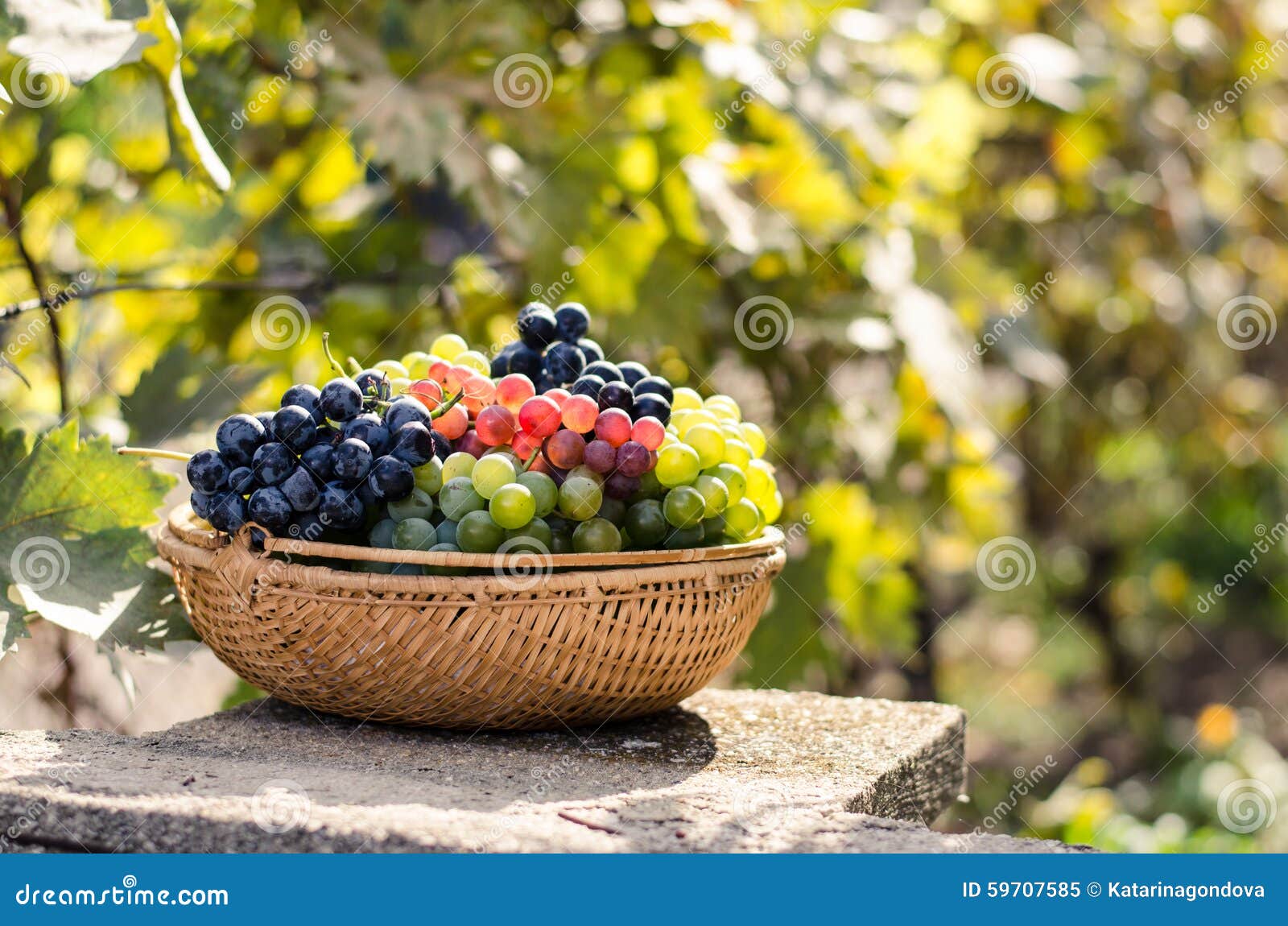 Colorful grapes stock image. Image of purple, healthy - 59707585
