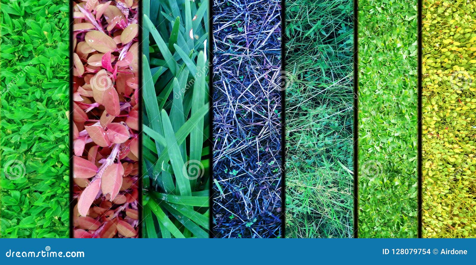Colorful Grass Collage stock photo. Image of background - 128079754