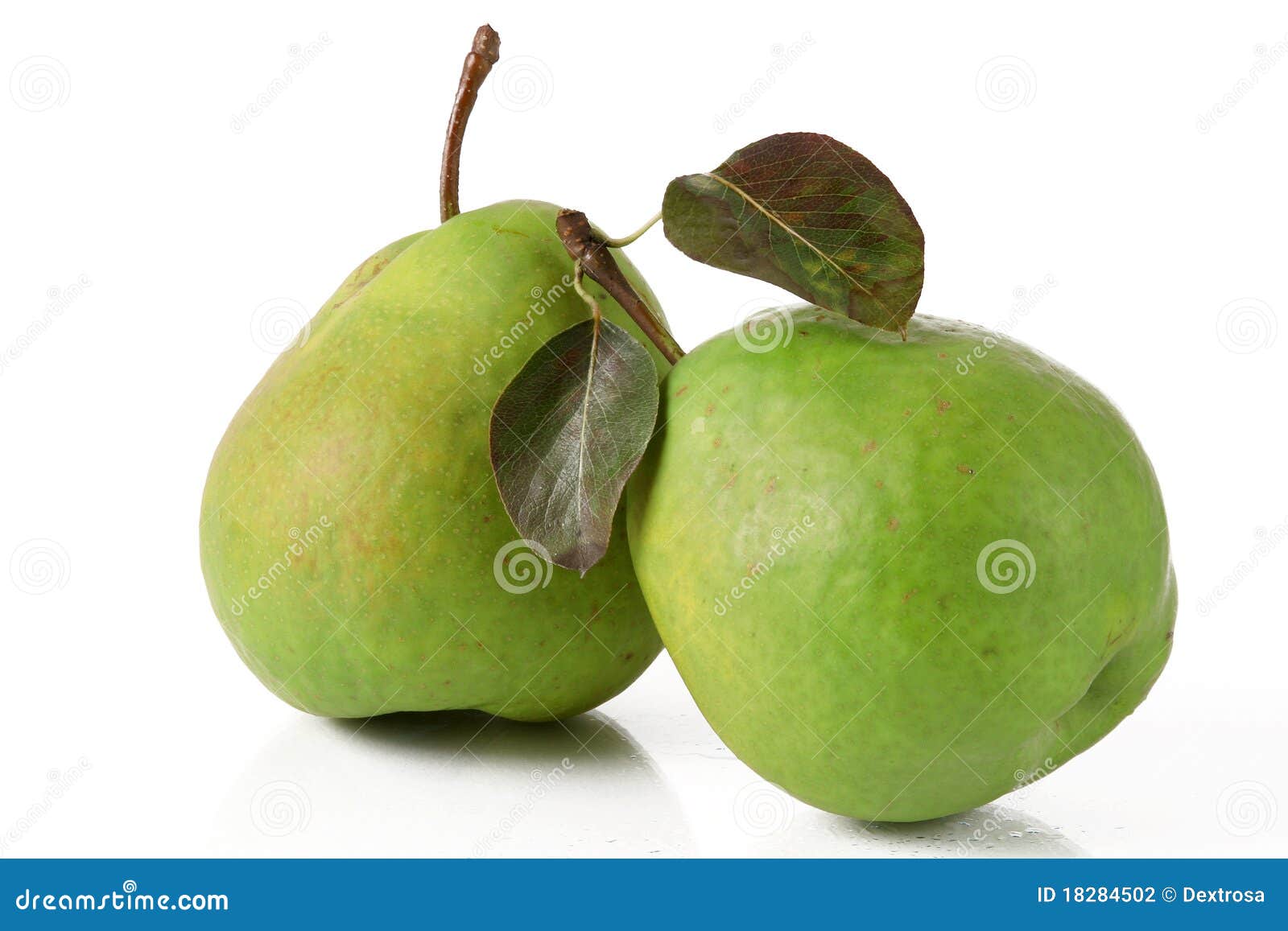 Colorful green pear stock photo. Image of food, diet - 18284502