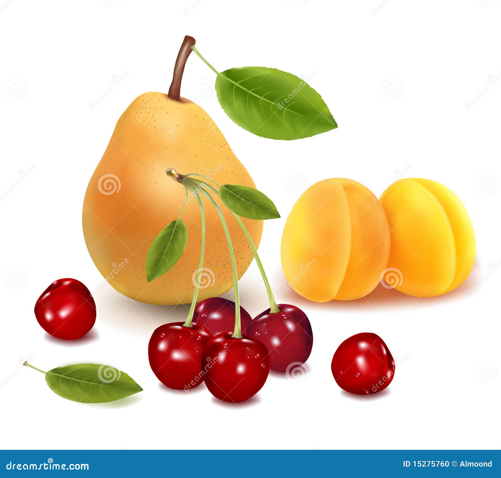 Colorful group of fruit. stock vector. Illustration of single - 15275760