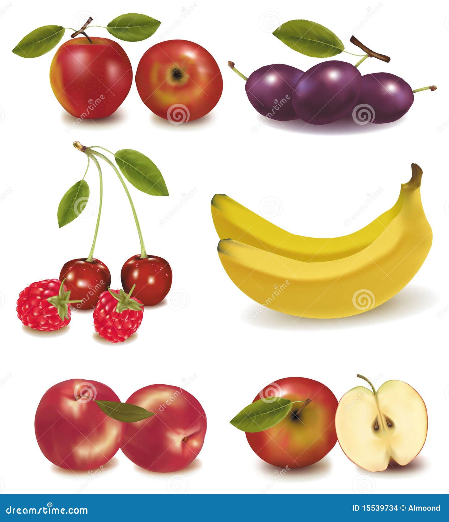 Colorful group of fruit. stock vector. Illustration of leaf - 15539734