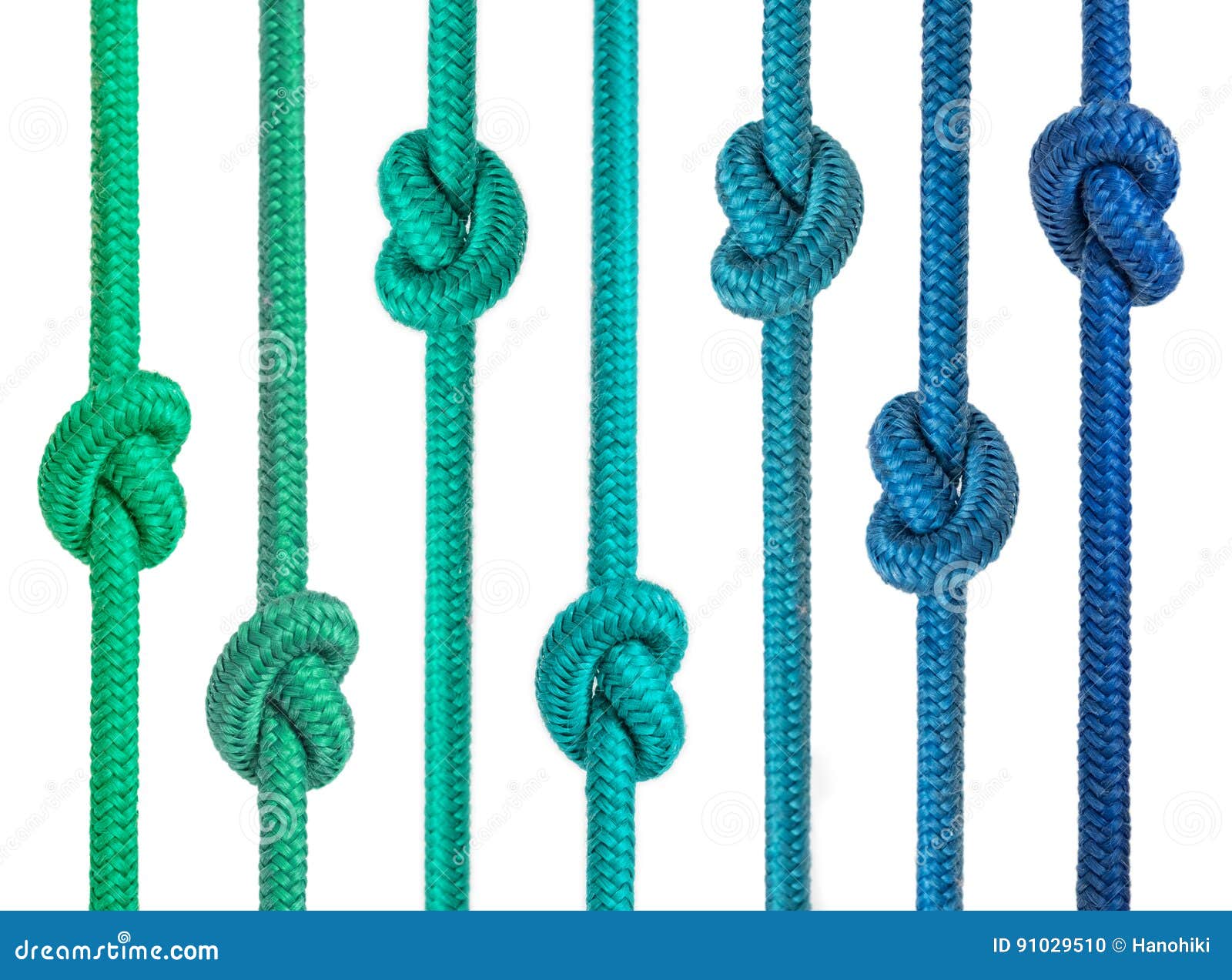 Group of Ropes with Knots in a Row Stock Photo - Image of problem ...