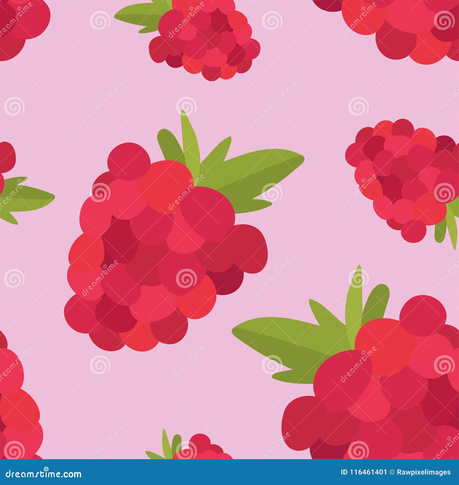 Colorful Hand Drawn Raspberry Pattern Stock Illustration - Illustration ...