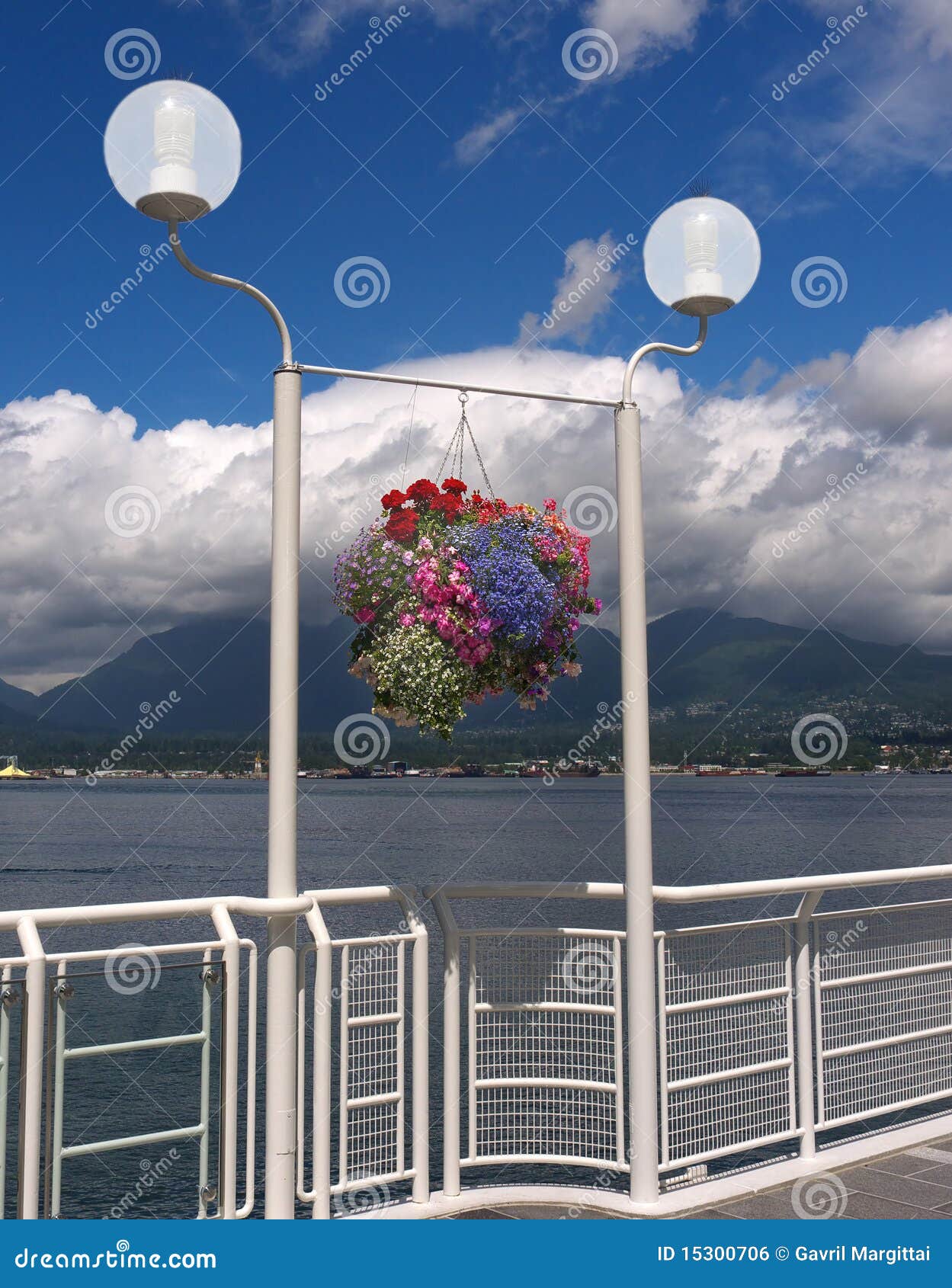 Hanging Flower Baskets Stock Image | CartoonDealer.com #45381613