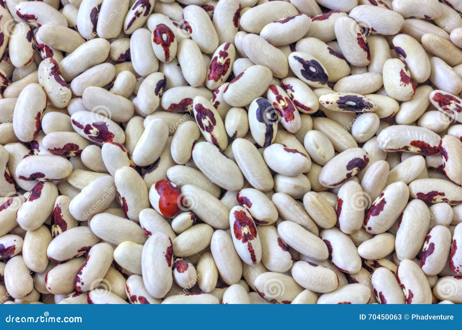 Colorful Haricot Beans Background Stock Image - Image of eating ...