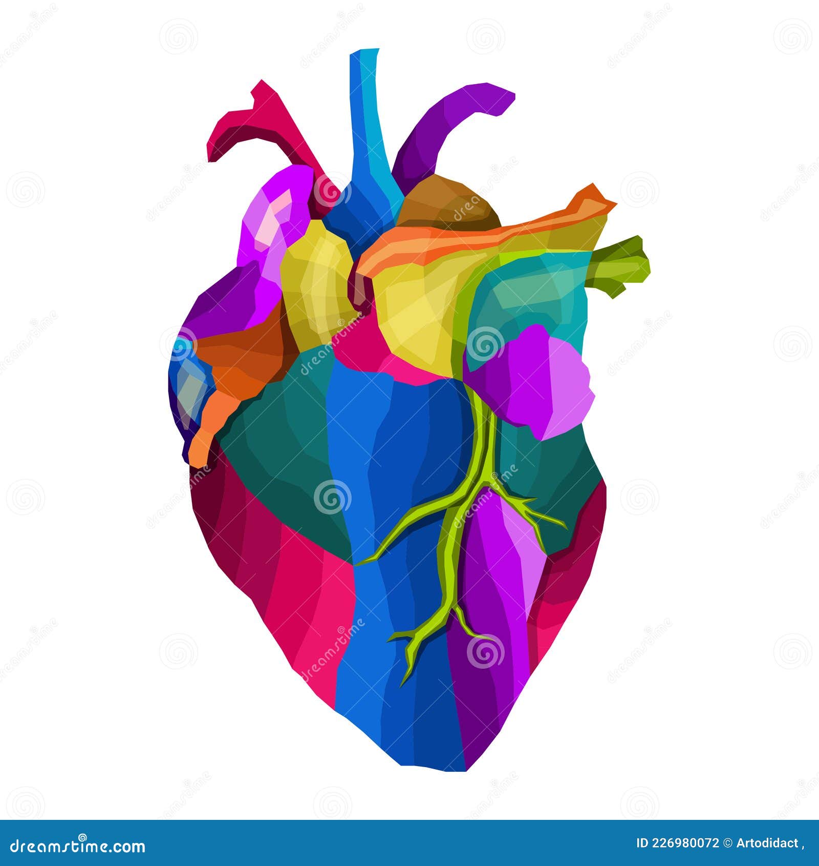 Colorful Human Heart Beautiful Creative Artwork Vector Illustration ...