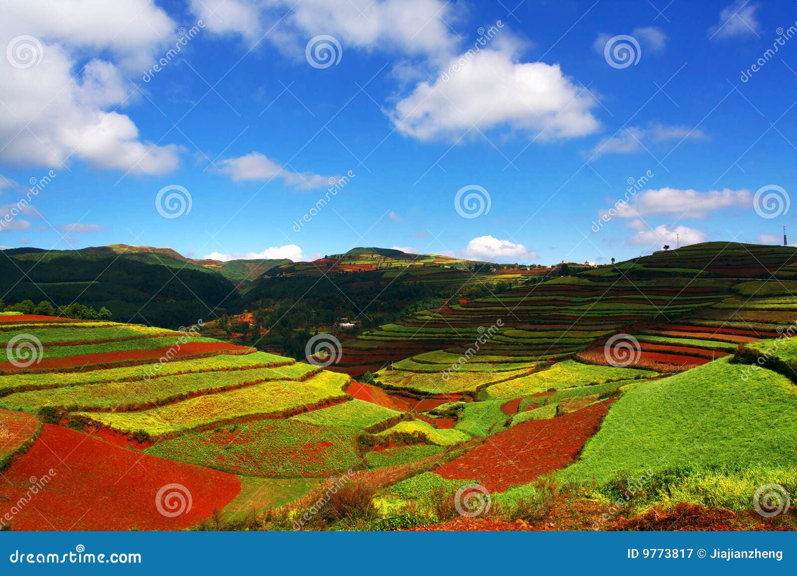 Colorful hill stock image. Image of asian, yellow, farmland - 9773817