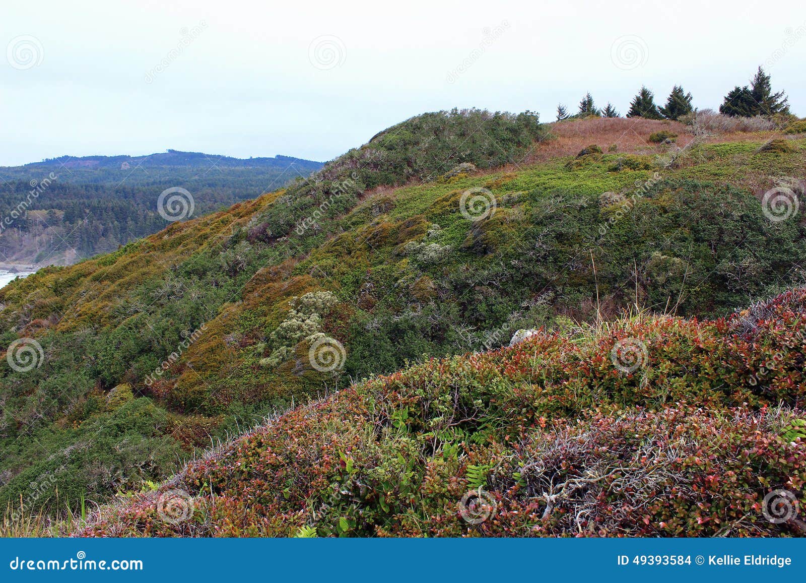 Colorful hill stock photo. Image of north, mountains - 49393584