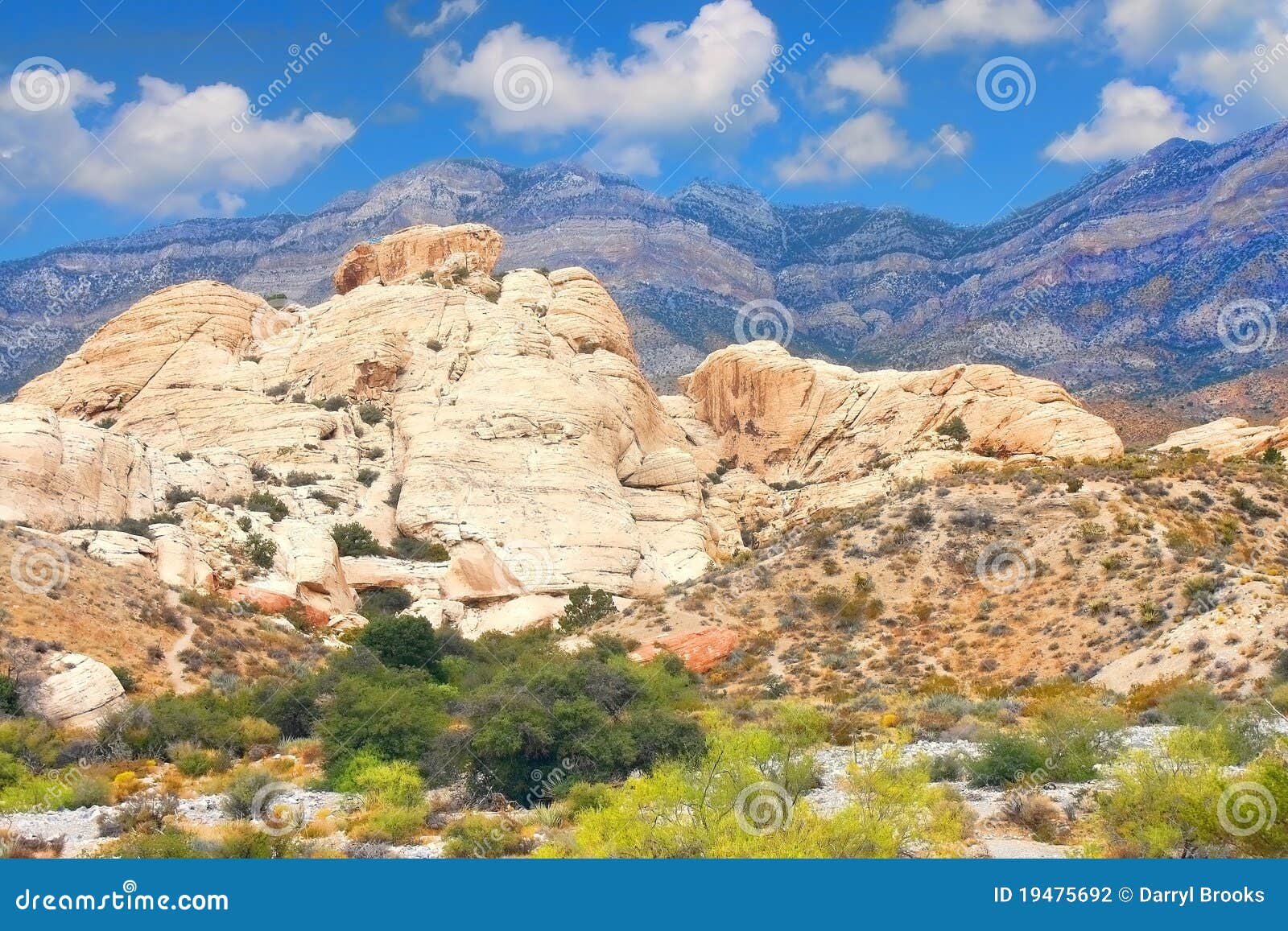 Colorful Hills stock photo. Image of cactus, nature, desert - 19475692