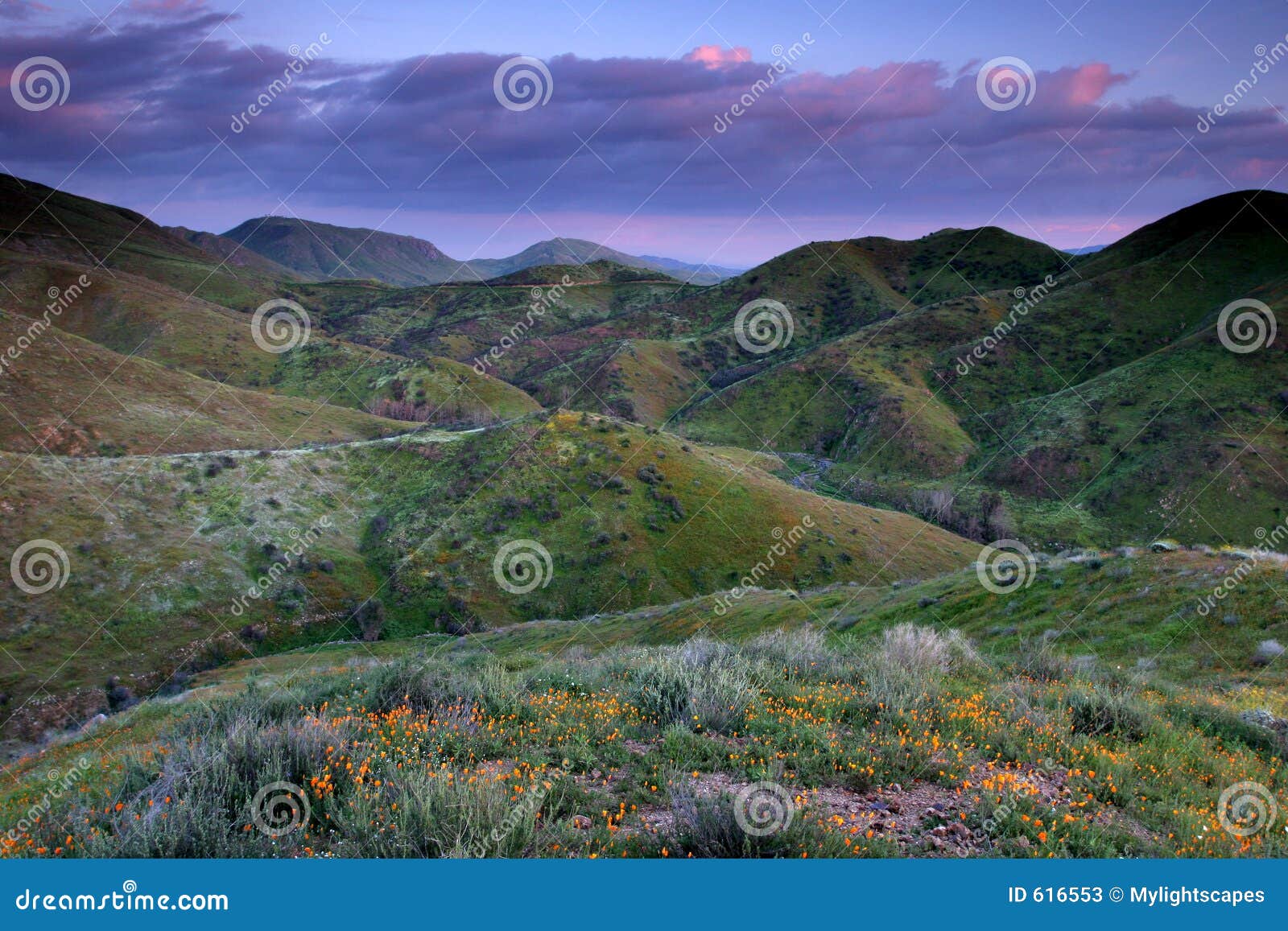 Colorful hills stock image. Image of countryside, nature - 616553