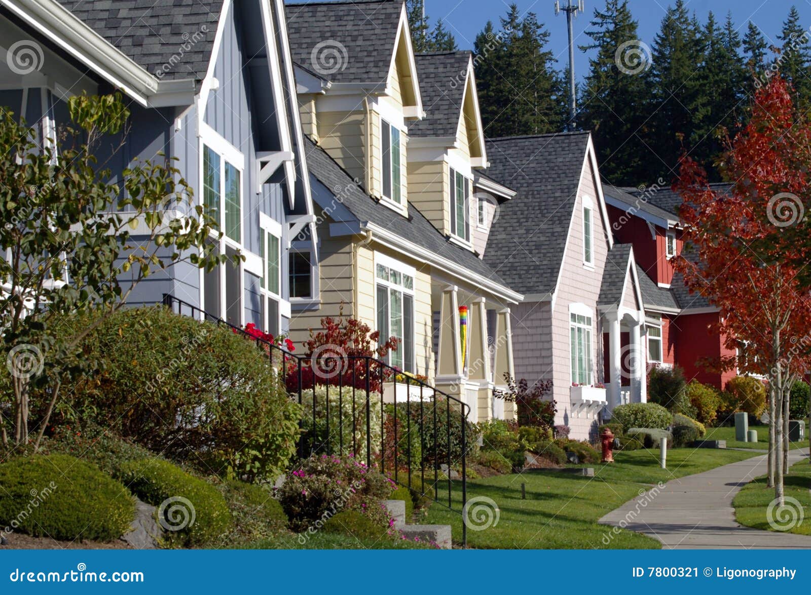 Colorful Homes stock image. Image of scene, human, district - 7800321