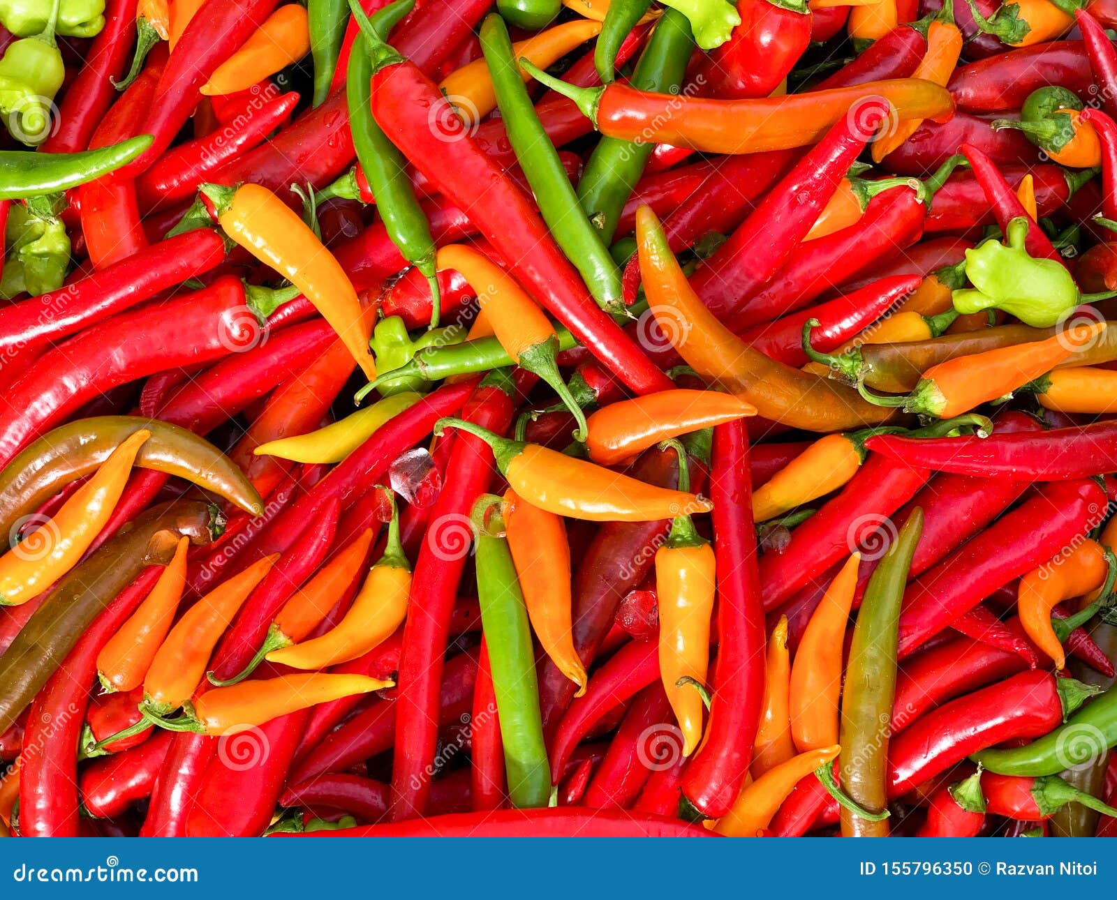 Colorful Hot Chili Peppers Texture Stock Photo - Image of jalapeno ...
