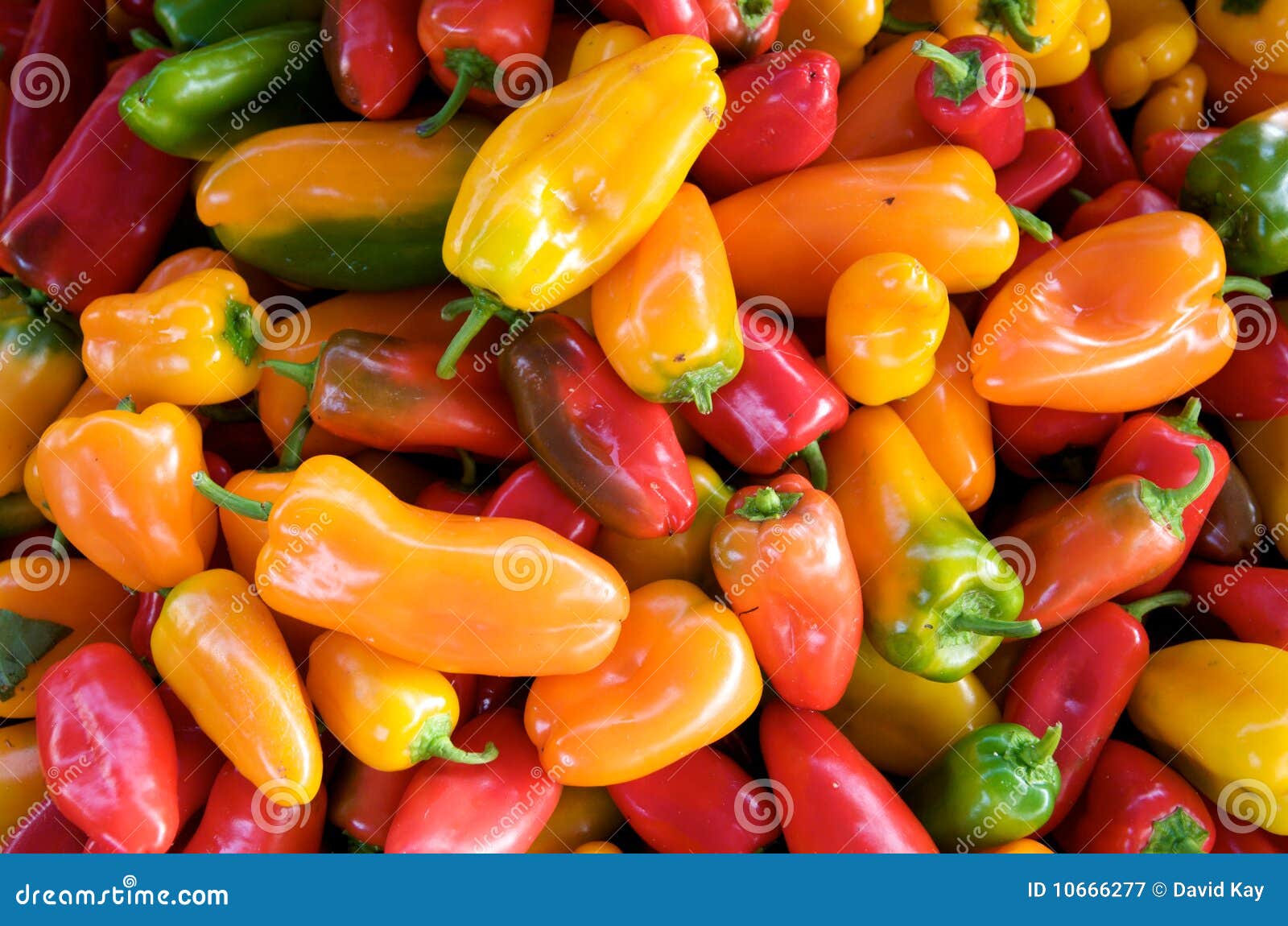 Colorful Hot Peppers stock image. Image of healthy, cook - 10666277