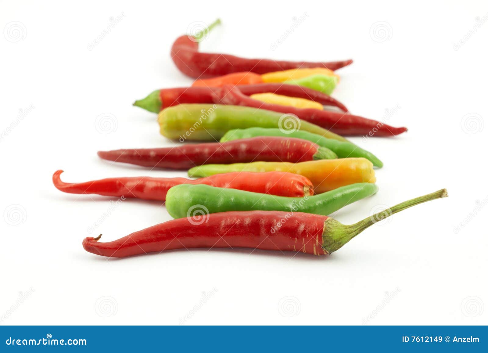 Colorful Hot Peppers in a Row Stock Image - Image of food, fresh: 7612149
