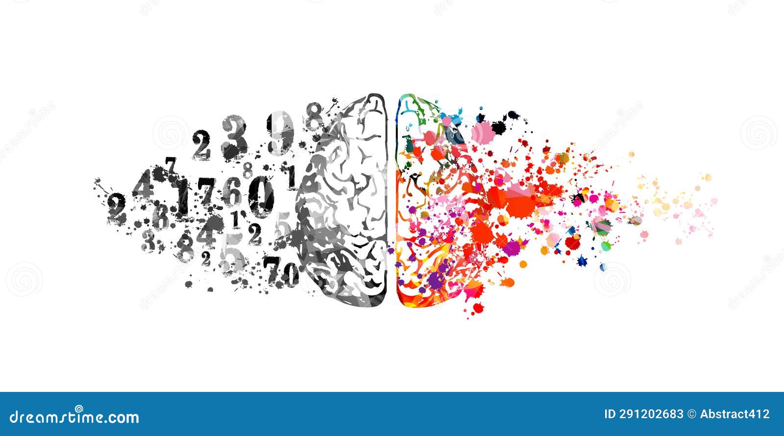 Colorful Human Brain With Numbers Isolated Vector Background ...